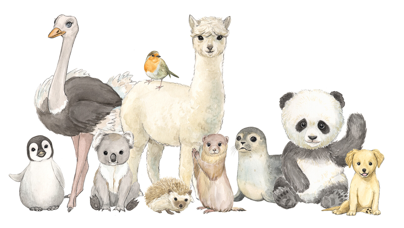 Ana Nikolova - Animal world