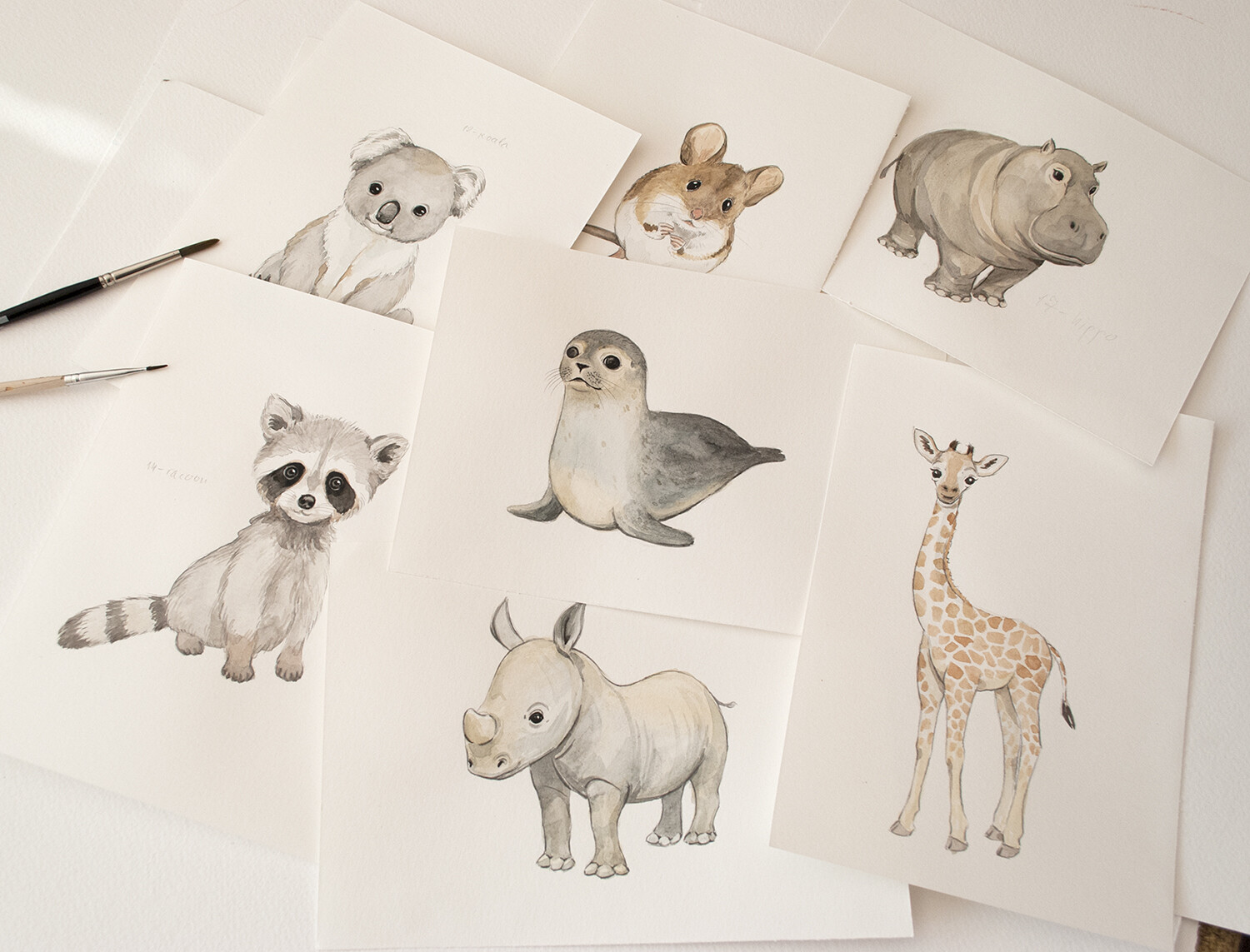 Ana Nikolova - Animal world