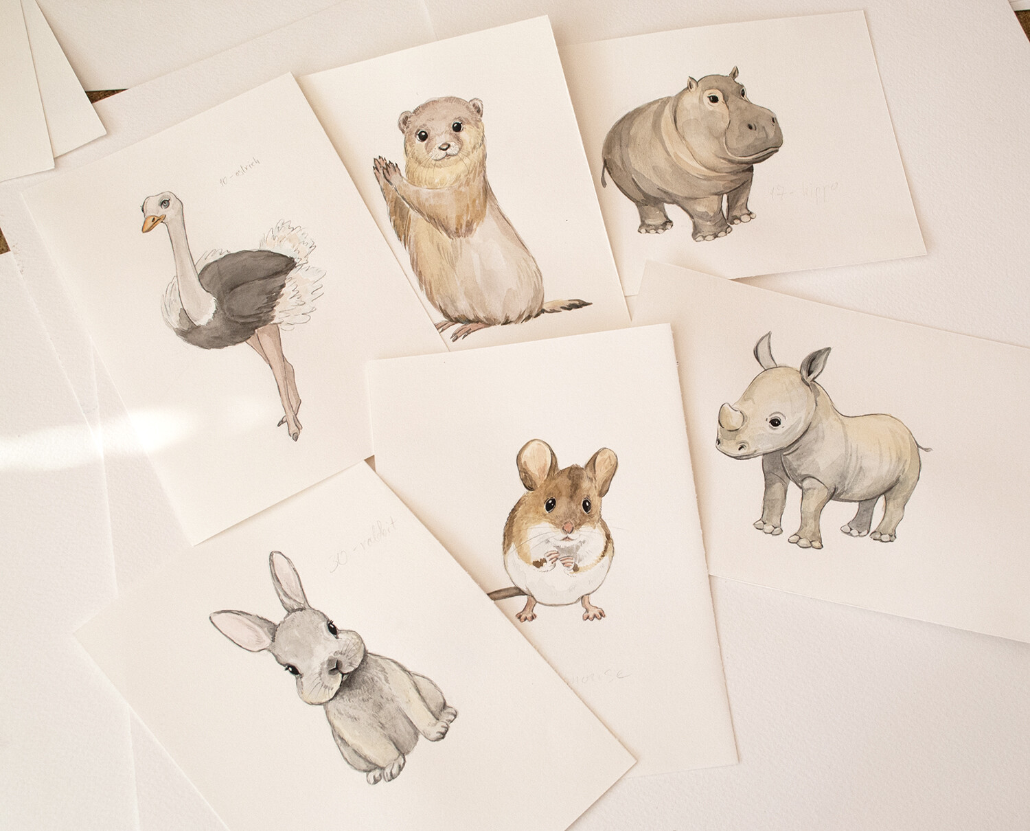 Ana Nikolova - Animal world