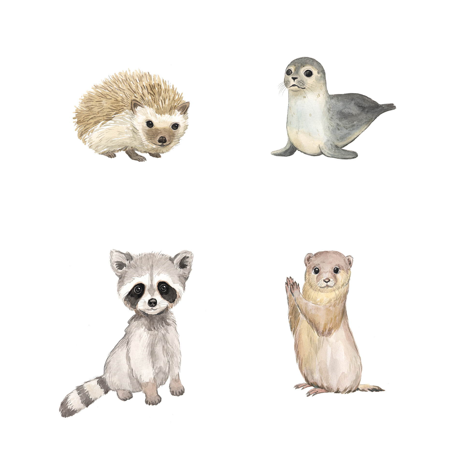 Ana Nikolova - Animal world