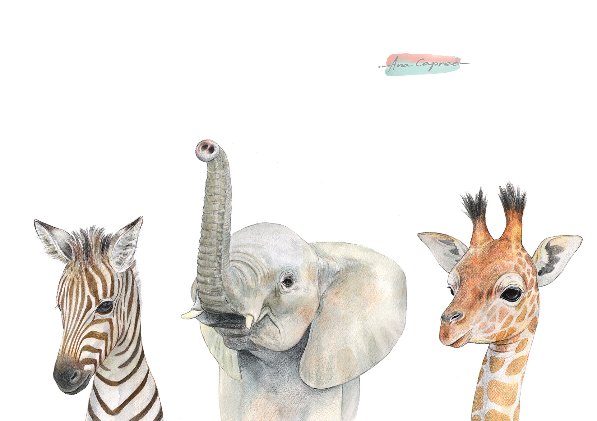 Ana Nikolova - Wild animals