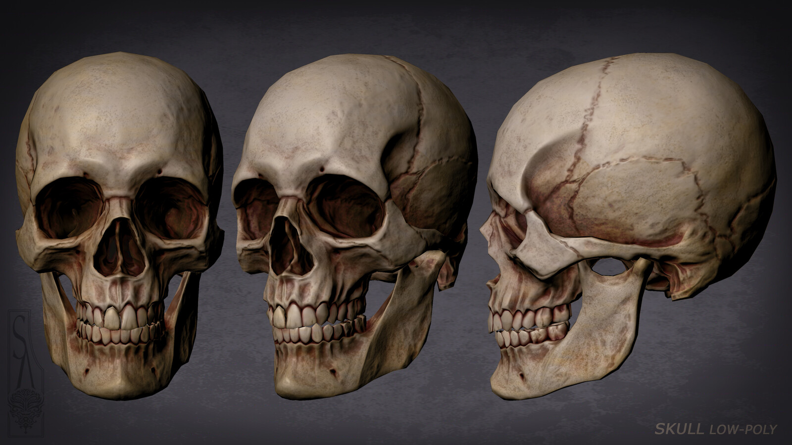 Sid Ahearne - Skull game-ready asset