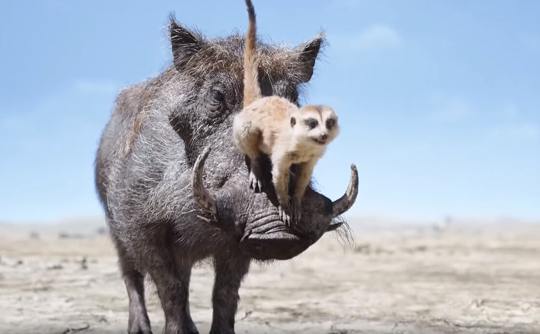 Joshua Cann - Pumbaa - Lion King 2019