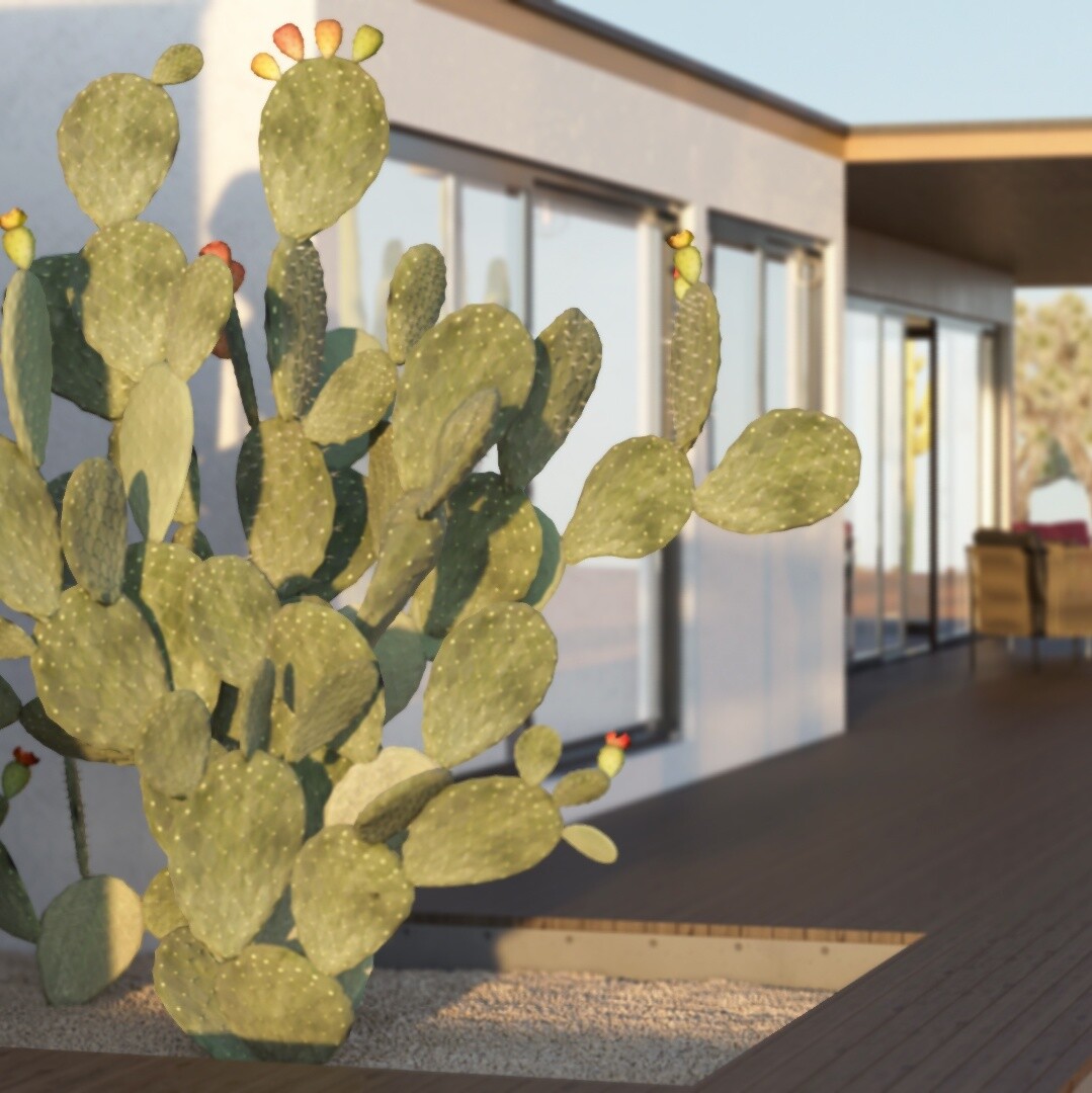 ArtStation - Desert House
