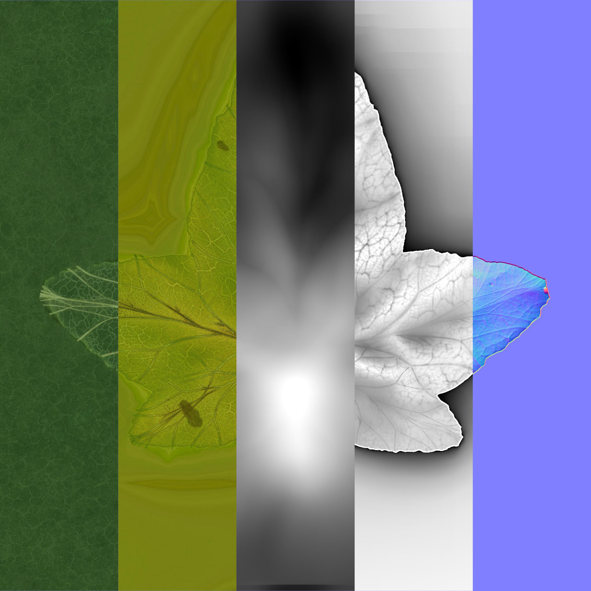 Sherif Dawoud | 3D Game Artist - Leaf/Foliage Generator - Substance Designer