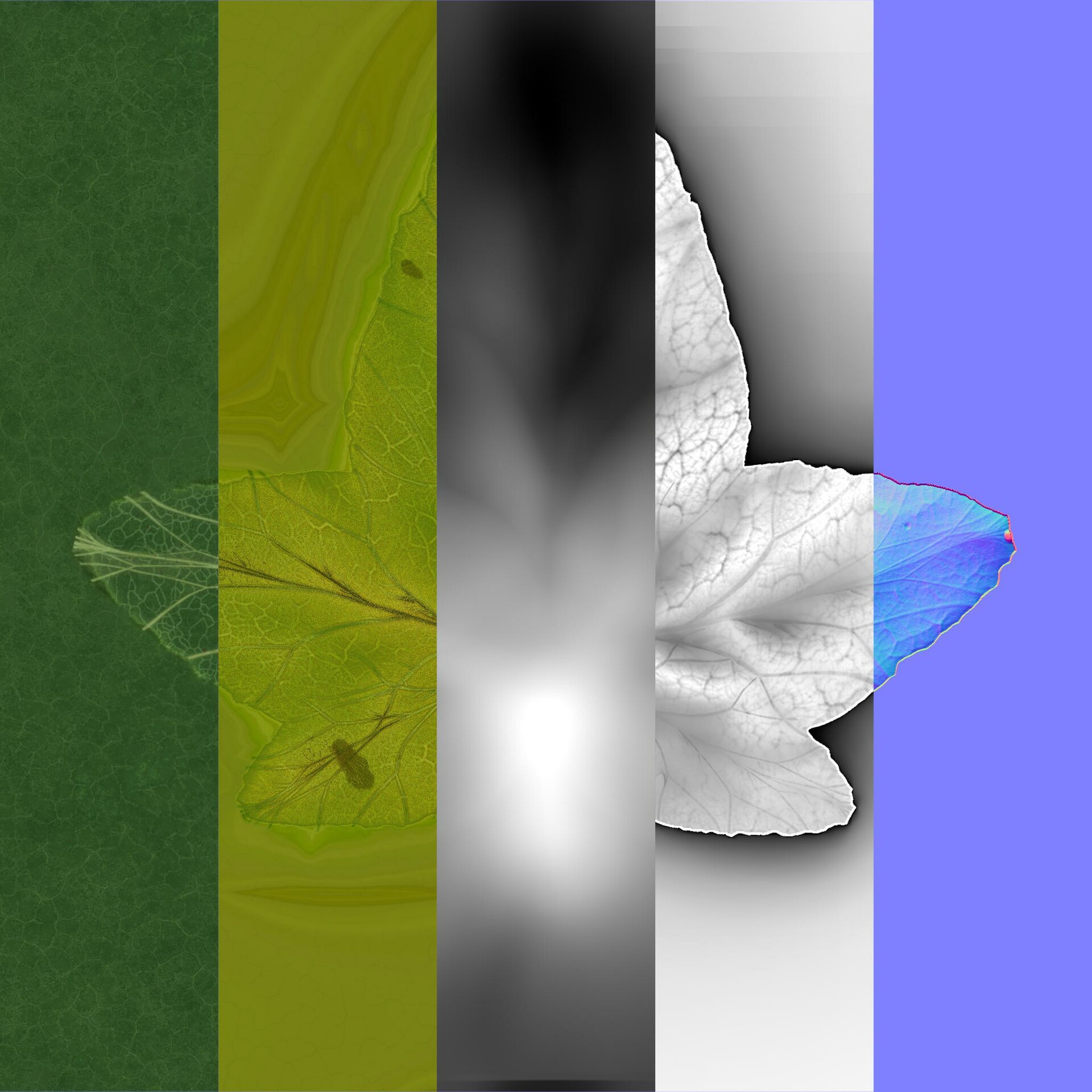 Sherif Dawoud | 3D Game Artist - Leaf/Foliage Generator - Substance ...