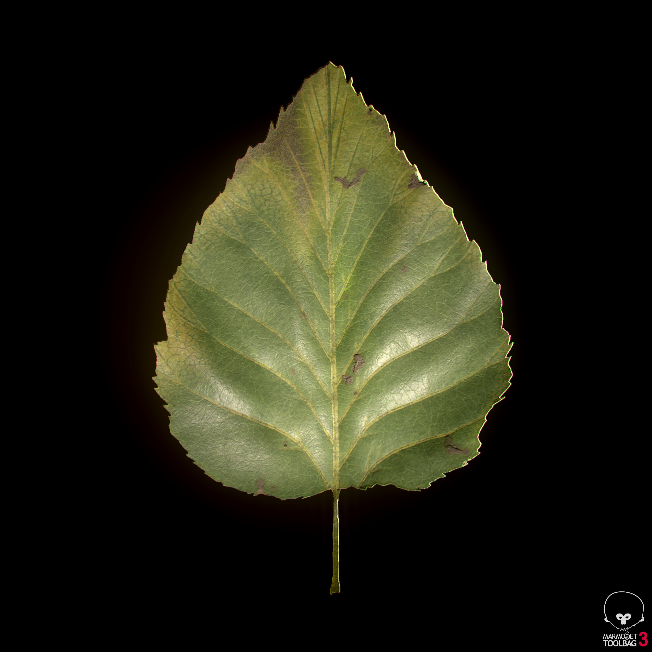 Sherif Dawoud | 3D Game Artist - Leaf/Foliage Generator - Substance Designer