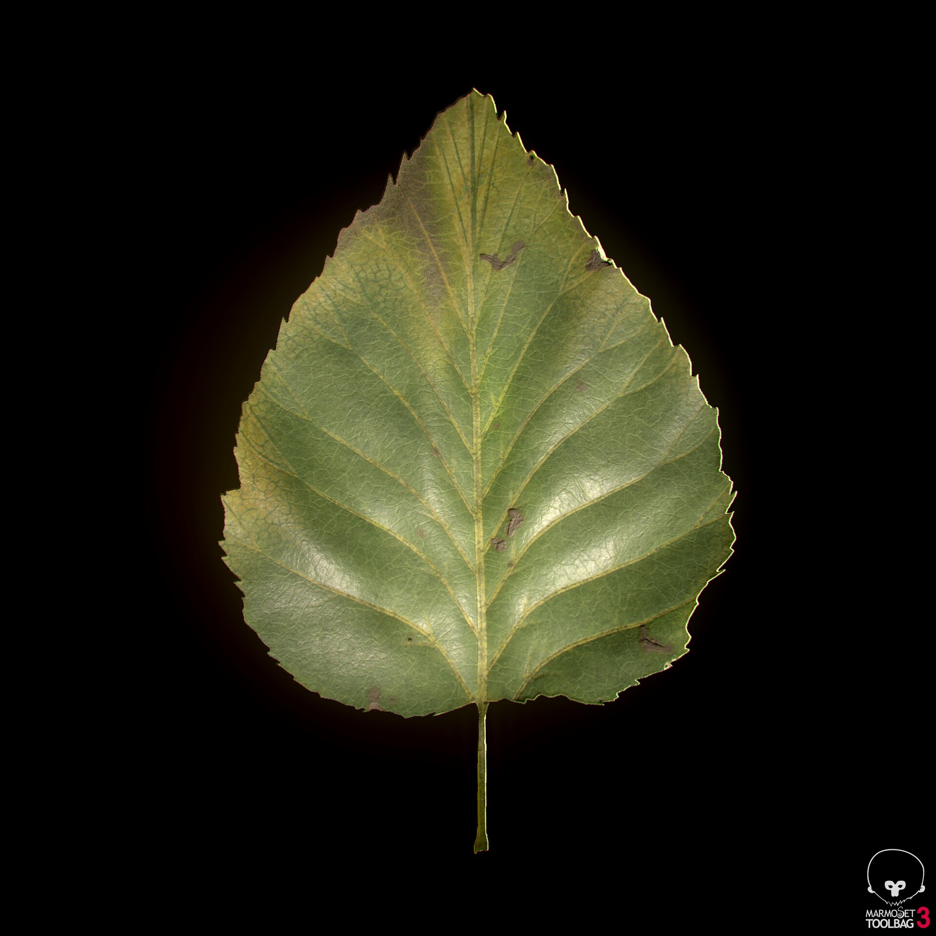 Sherif Dawoud | 3D Game Artist - Leaf/Foliage Generator - Substance ...