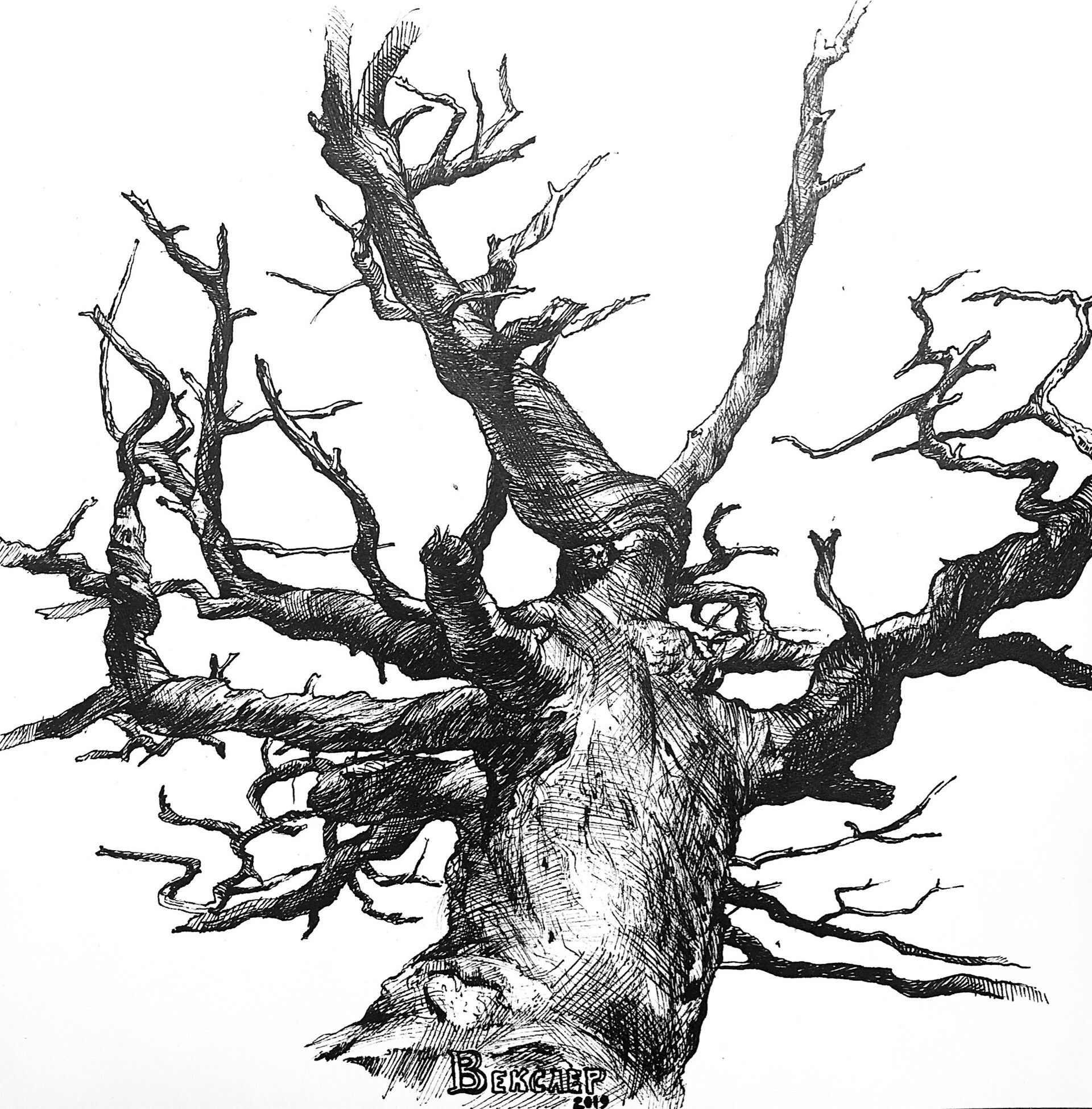 ArtStation - Old tree