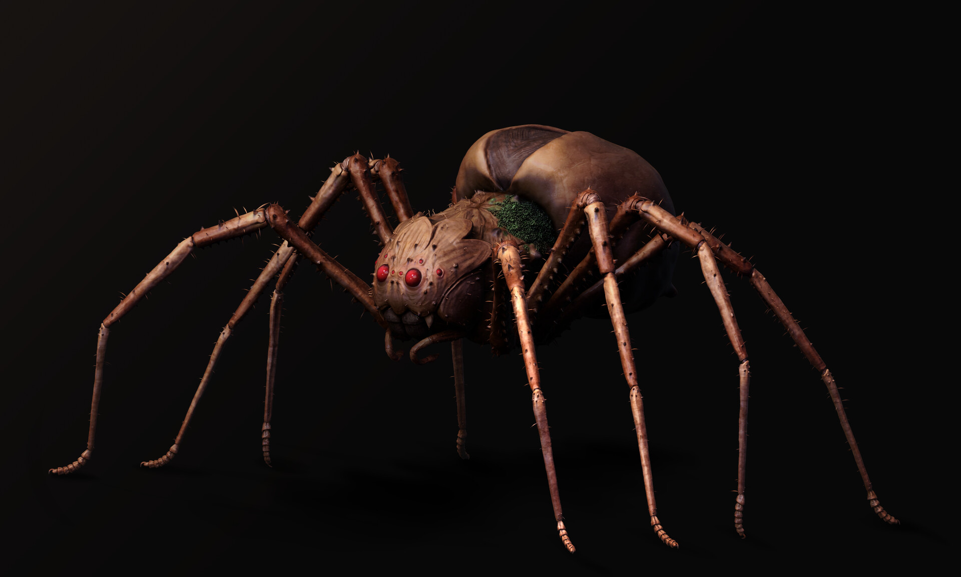 ArtStation - Spider like "Kumo desu ga"