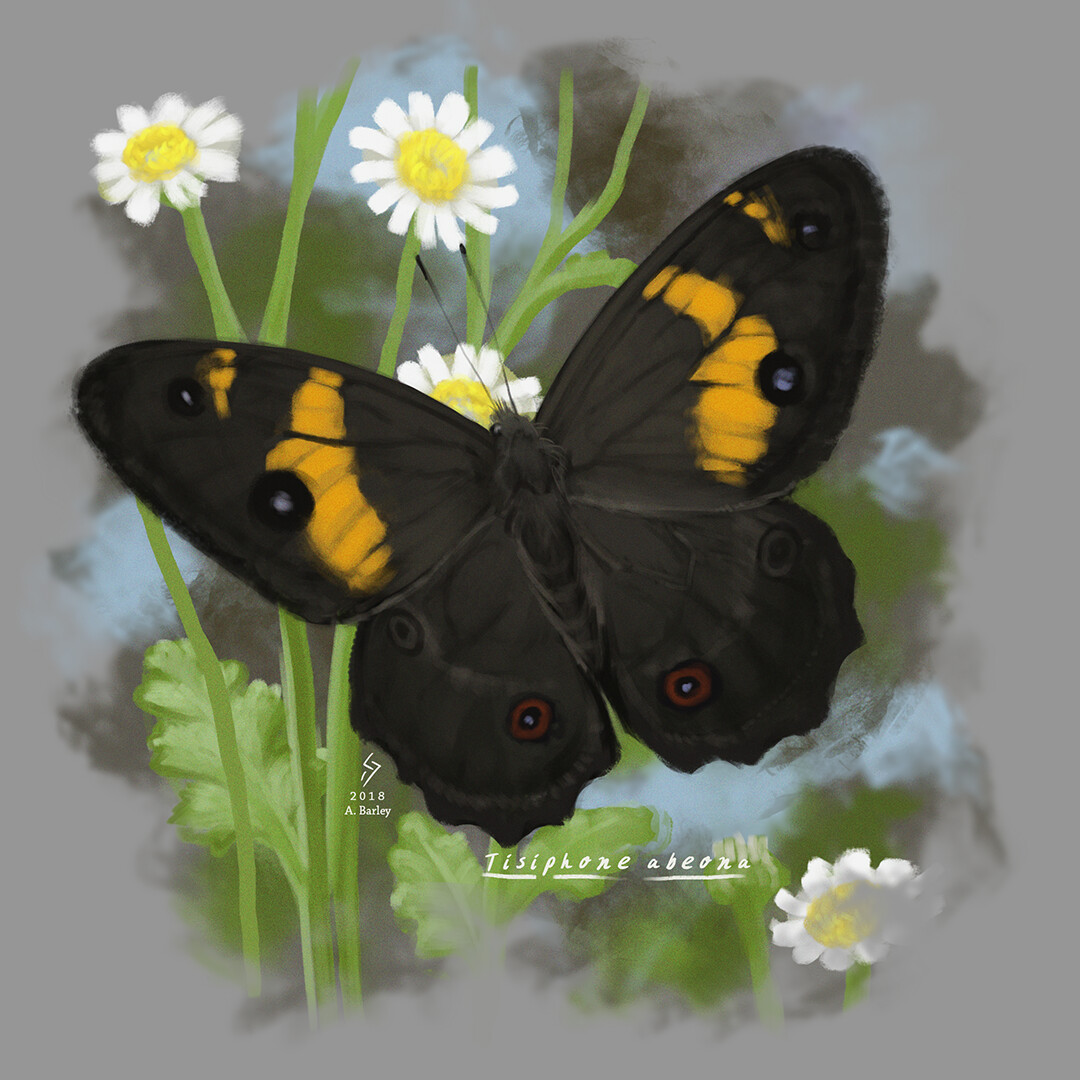 Alex Barley - Lovely Lepidopterans