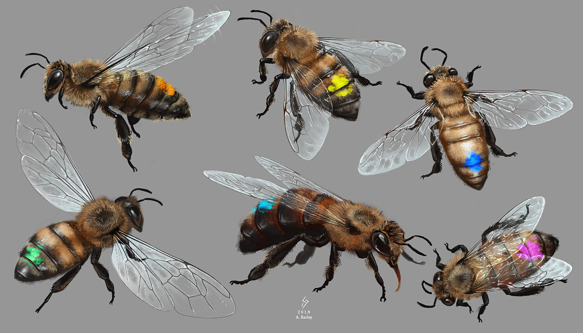 Alex Barley - Clever Bees