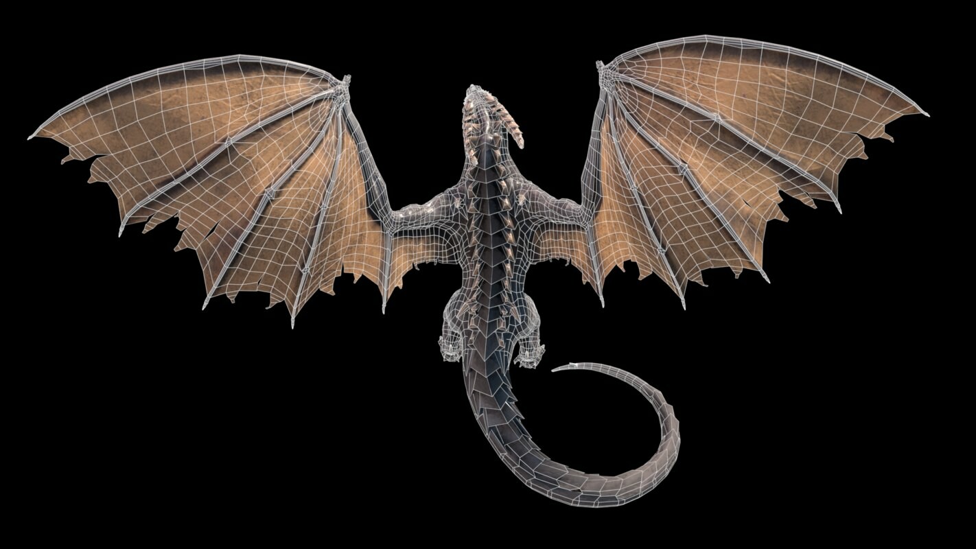 dragon top down view