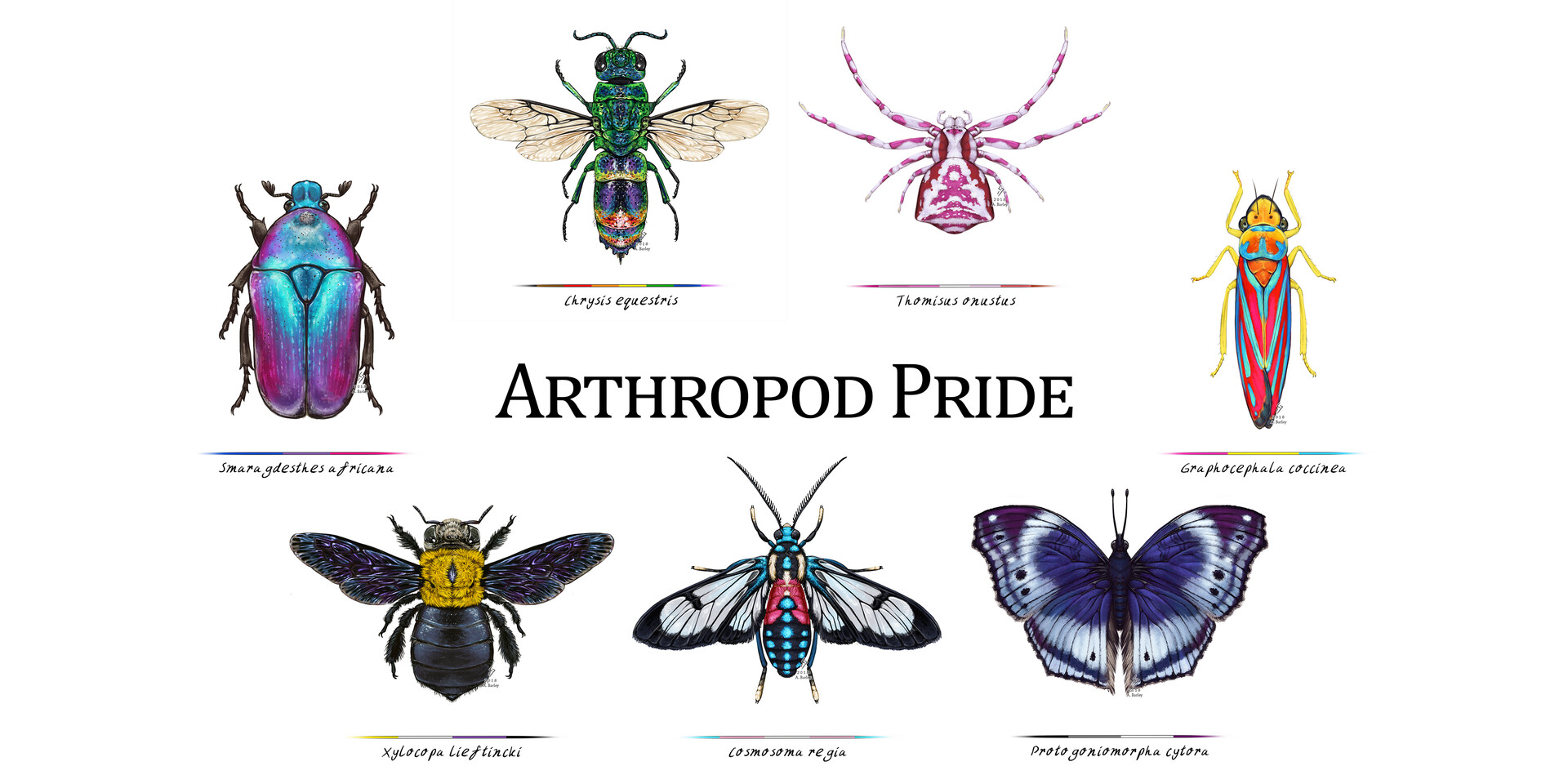 Alex Barley - Arthropod Pride