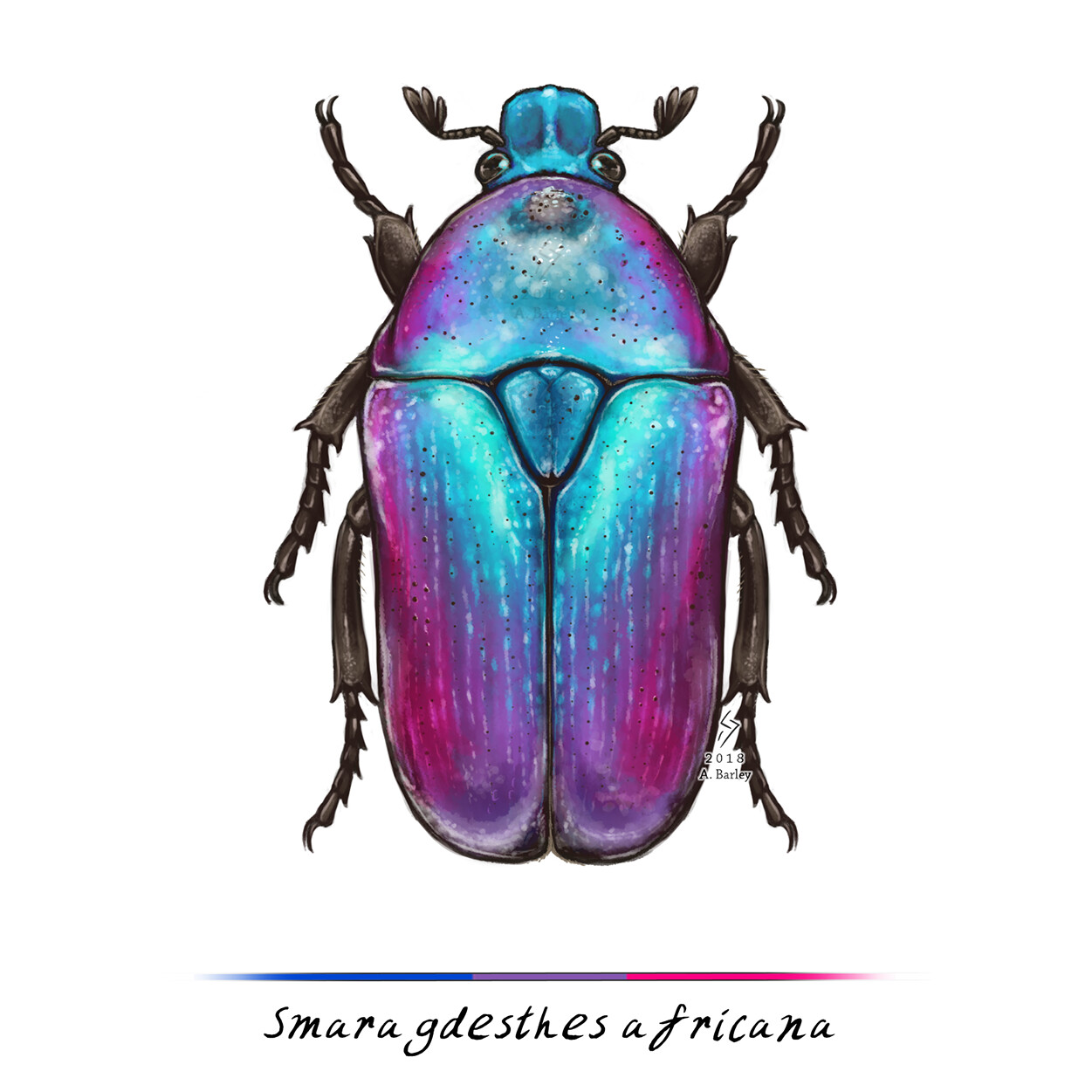 Alex Barley - Arthropod Pride