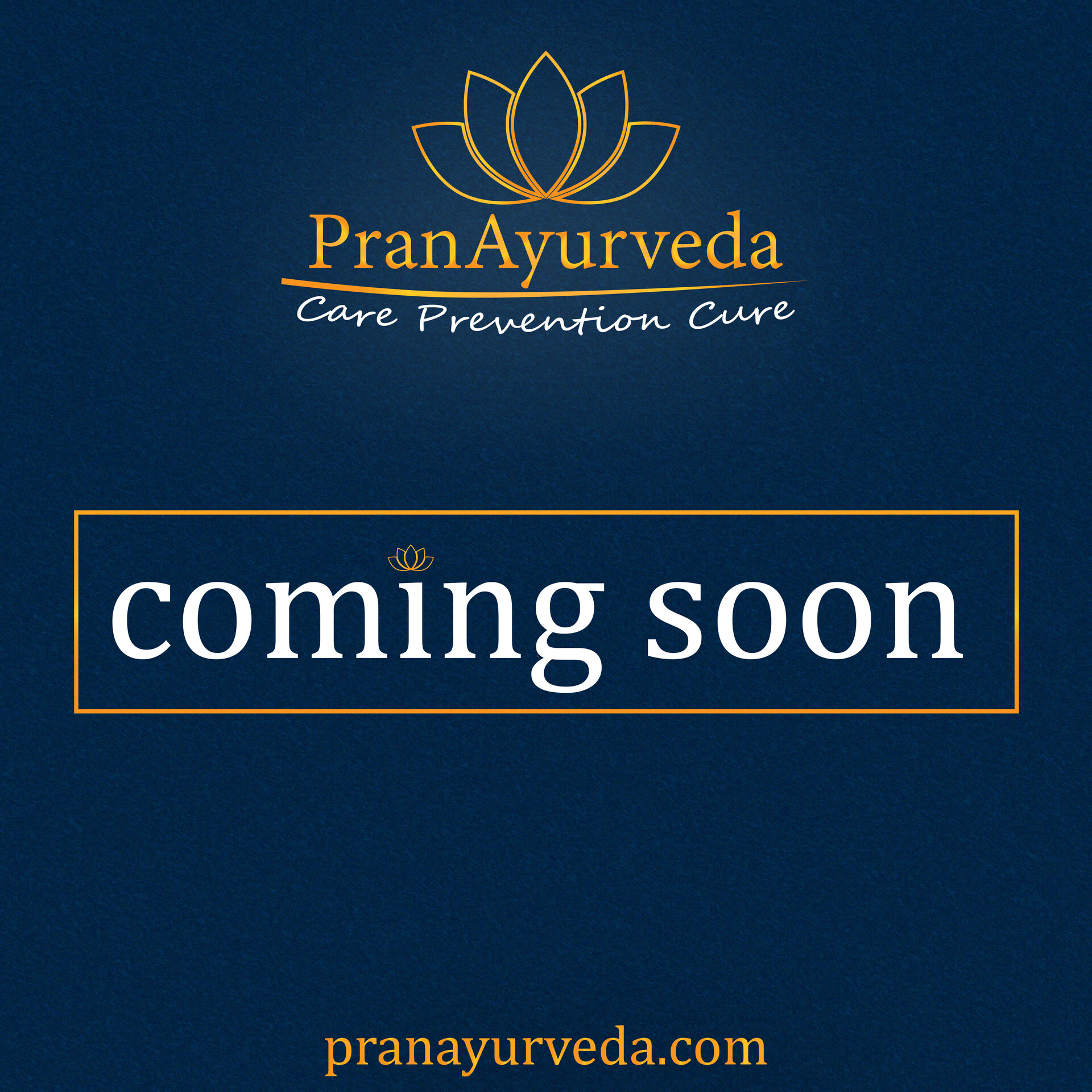 Vikas Boora - Pranayurveda