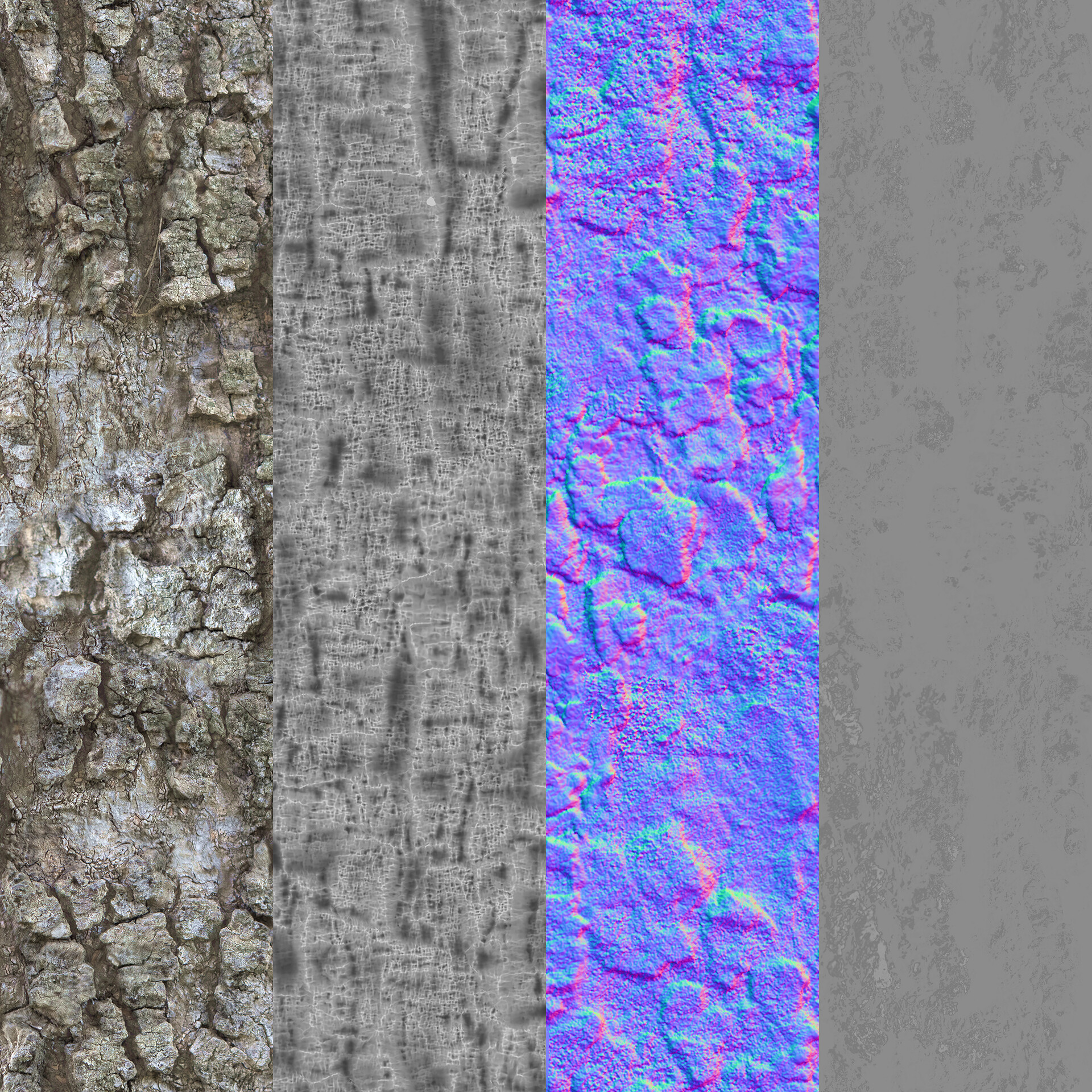 William Kidwell - Tileable PBR bark material from high resolution scan data