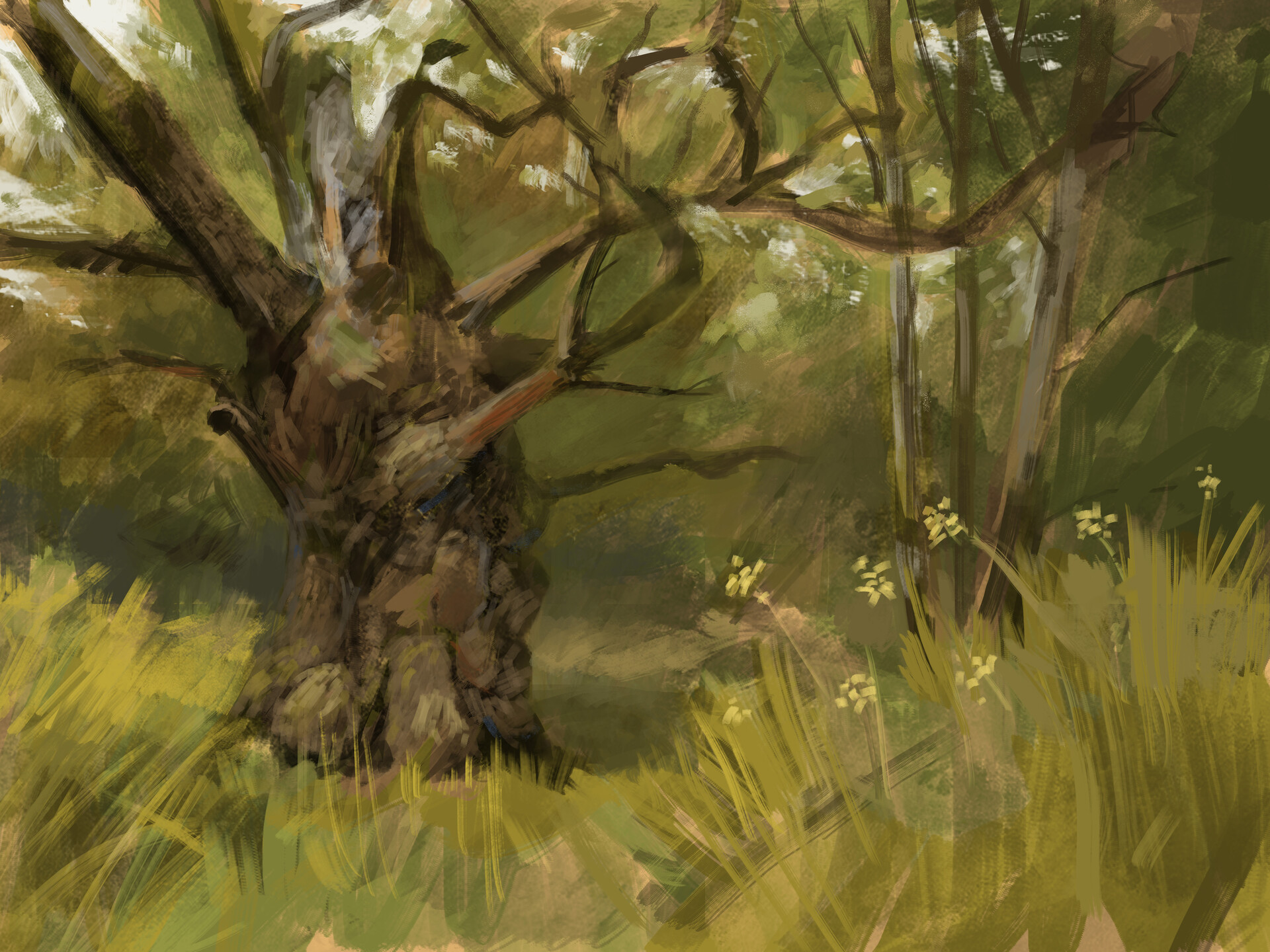 ArtStation - Tree Studies