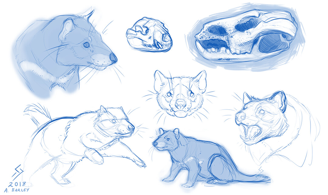 Alex Barley - Tasmanian Devil