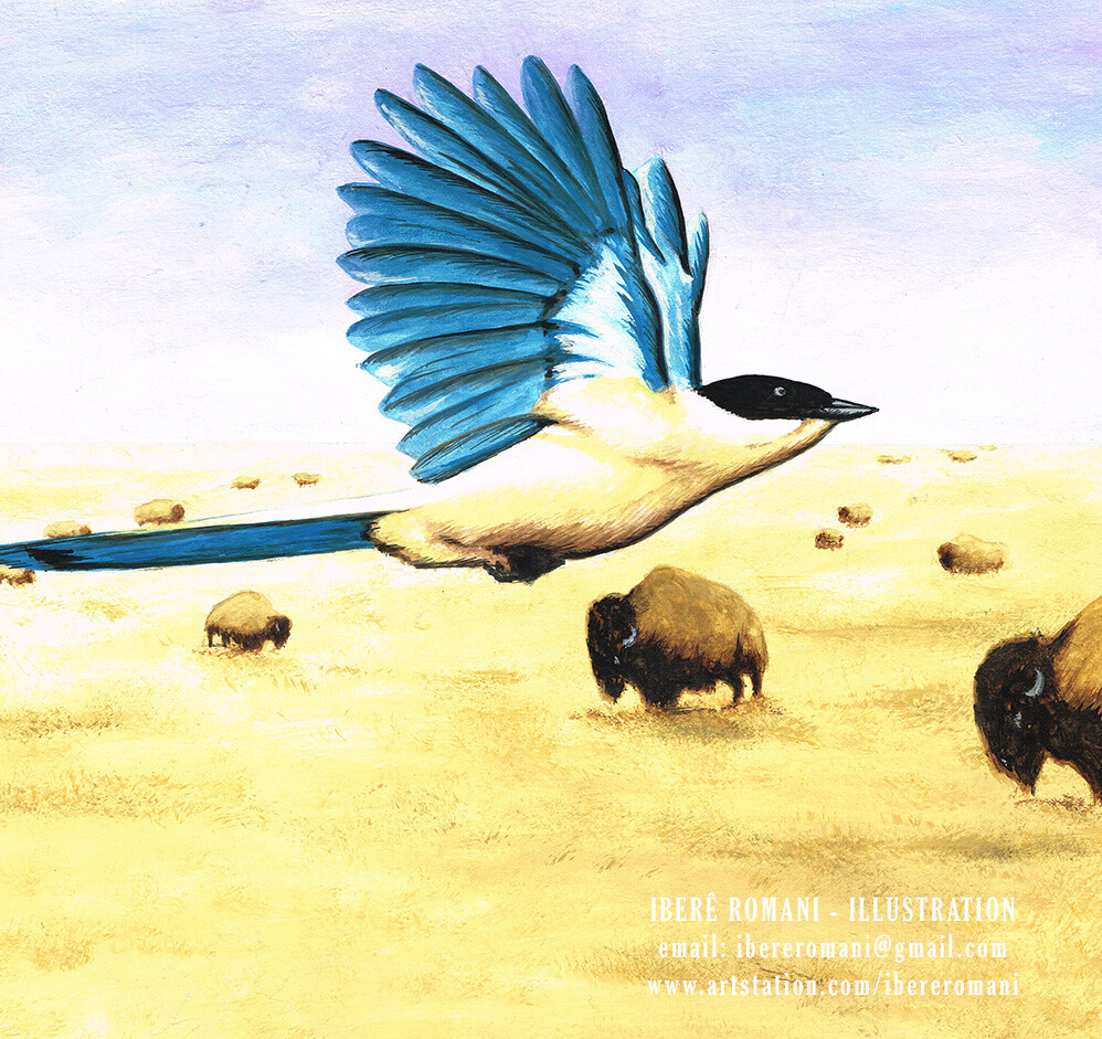 Ibere Romani - The story of the Buffalo Dance