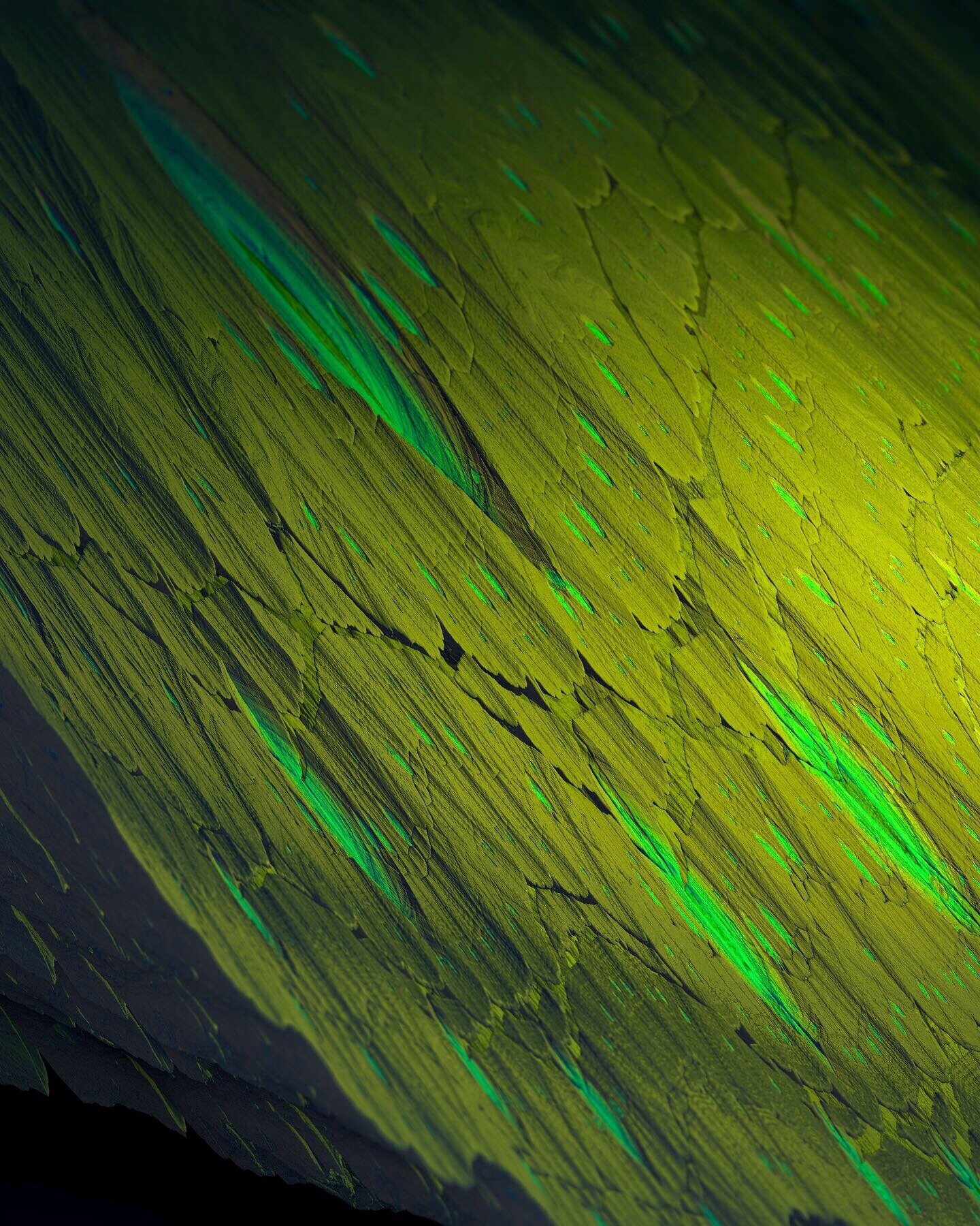 ArtStation - Green catch. Procedural