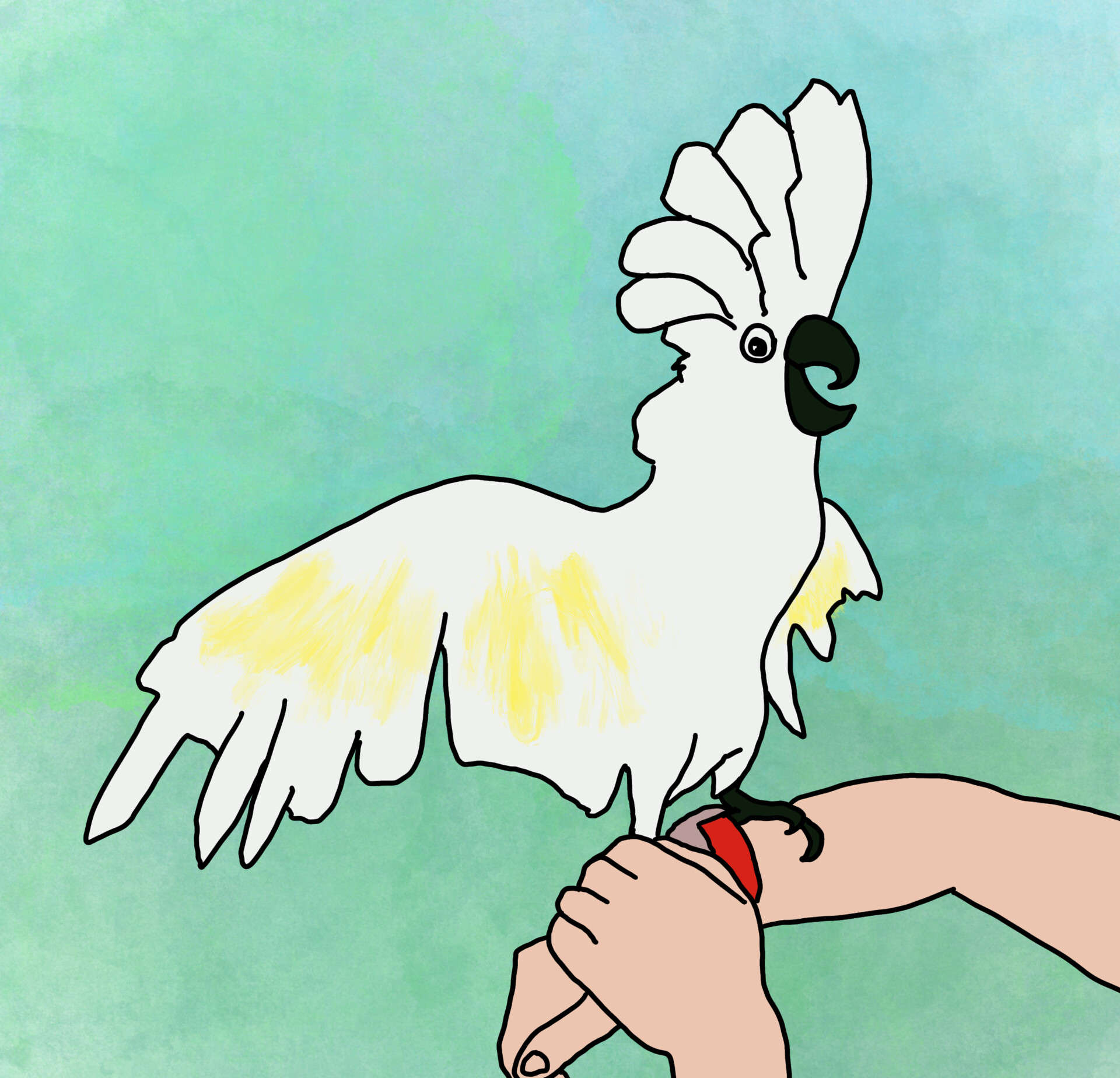 ArtStation - Party Parrot