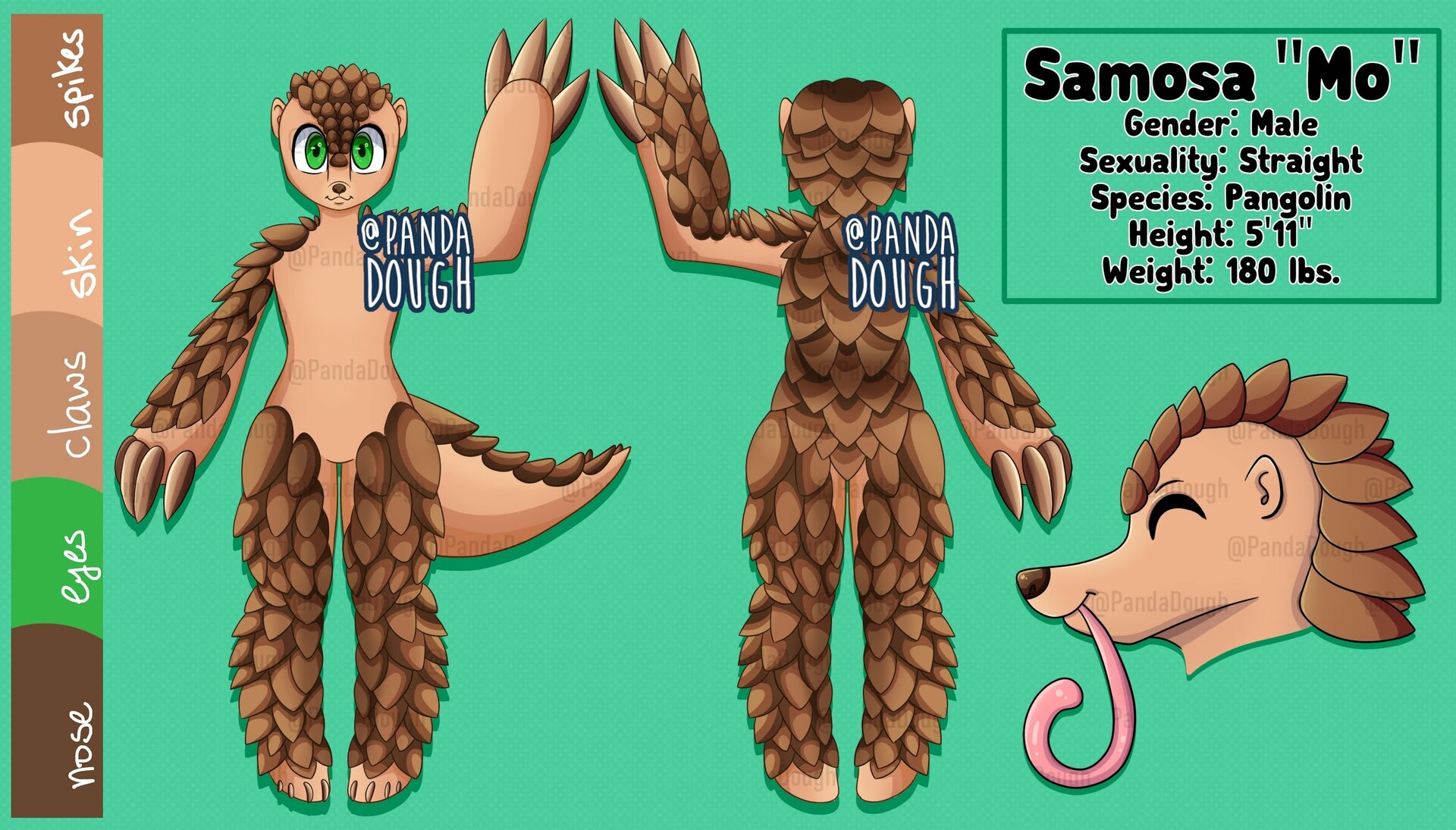 pangolin drawing reference