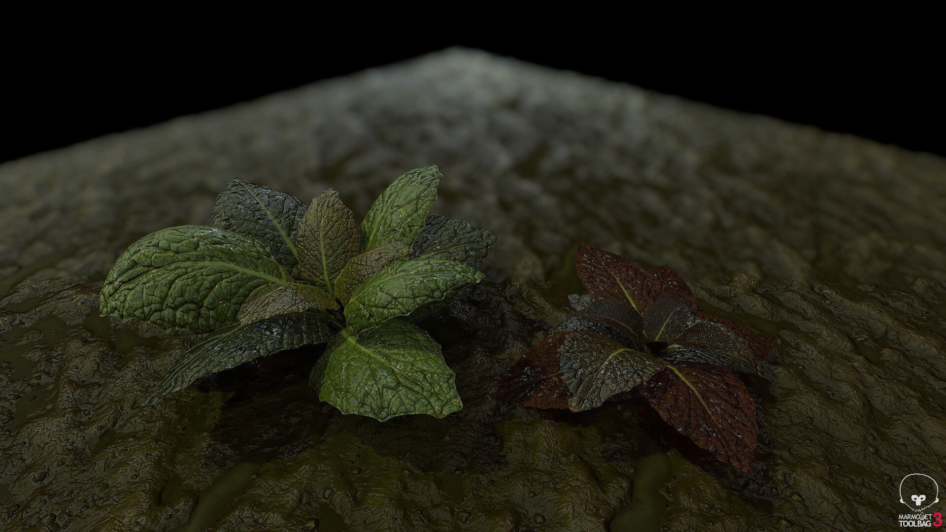 ArtStation - Leaf Generator