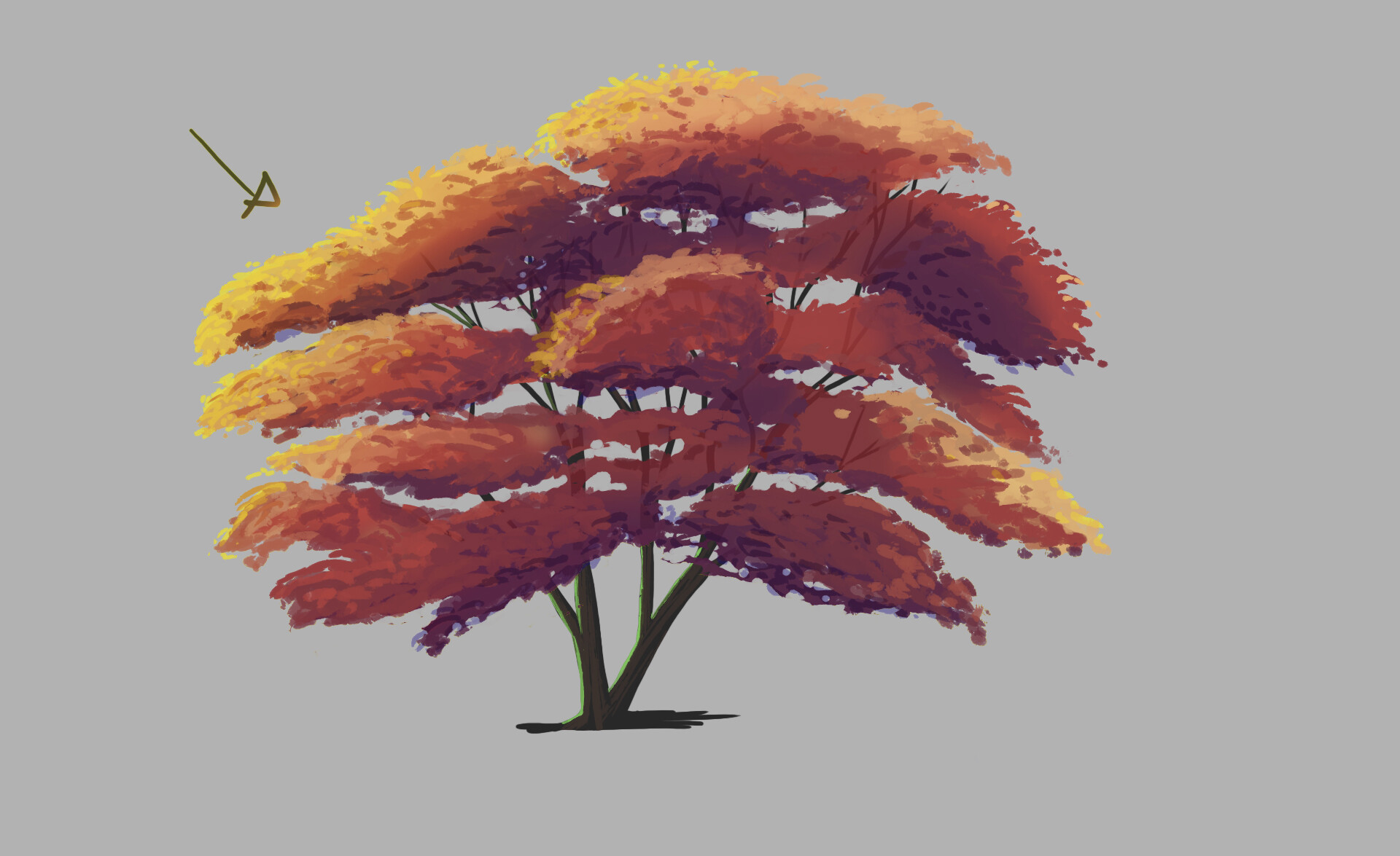 ArtStation - Tree studies