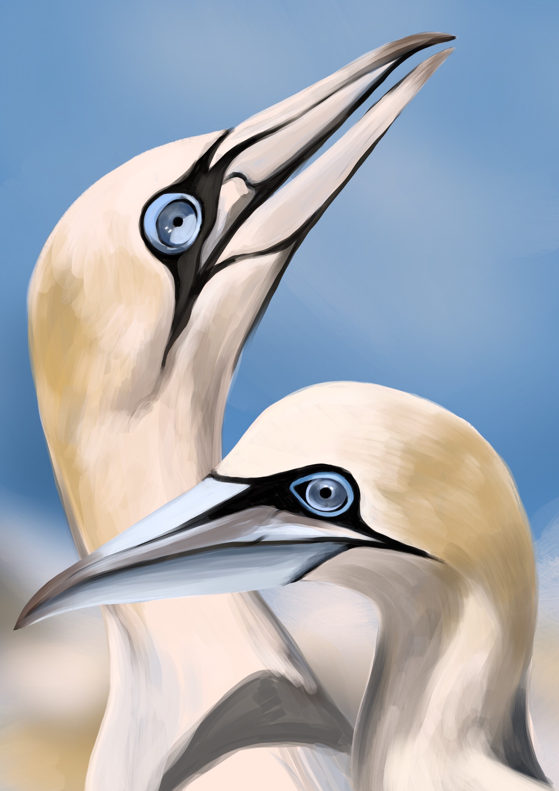 ArtStation - Gannets