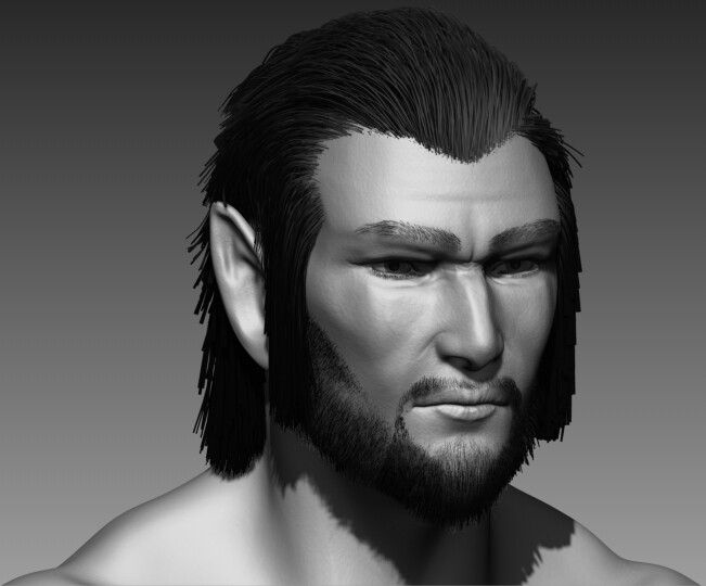 Cory Collins - Wolfwood WIP