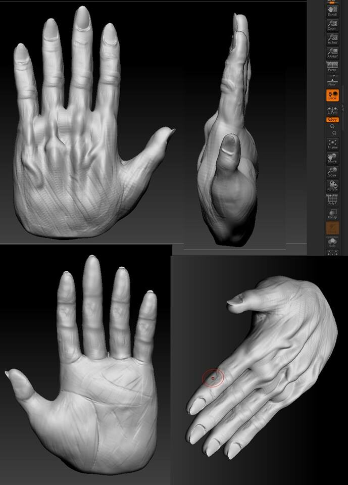 ArtStation - Hand Study