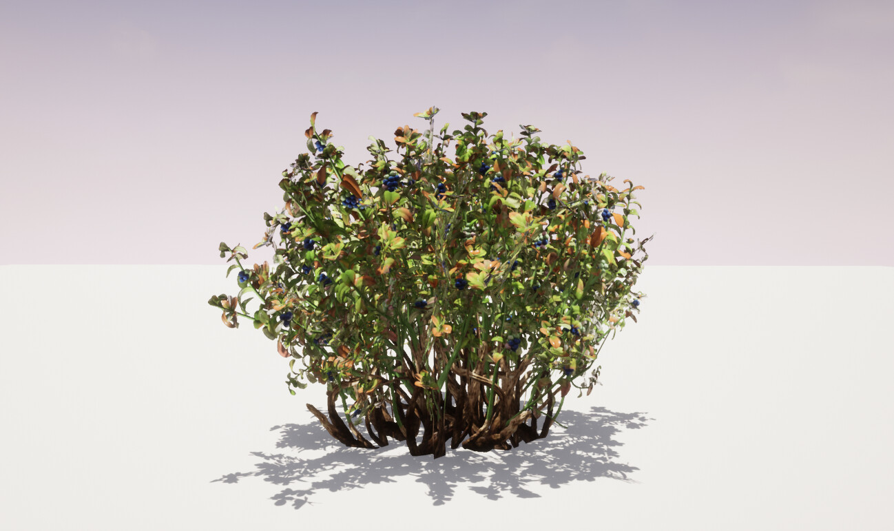 ArtStation - Blueberry Bush (from tutorial)