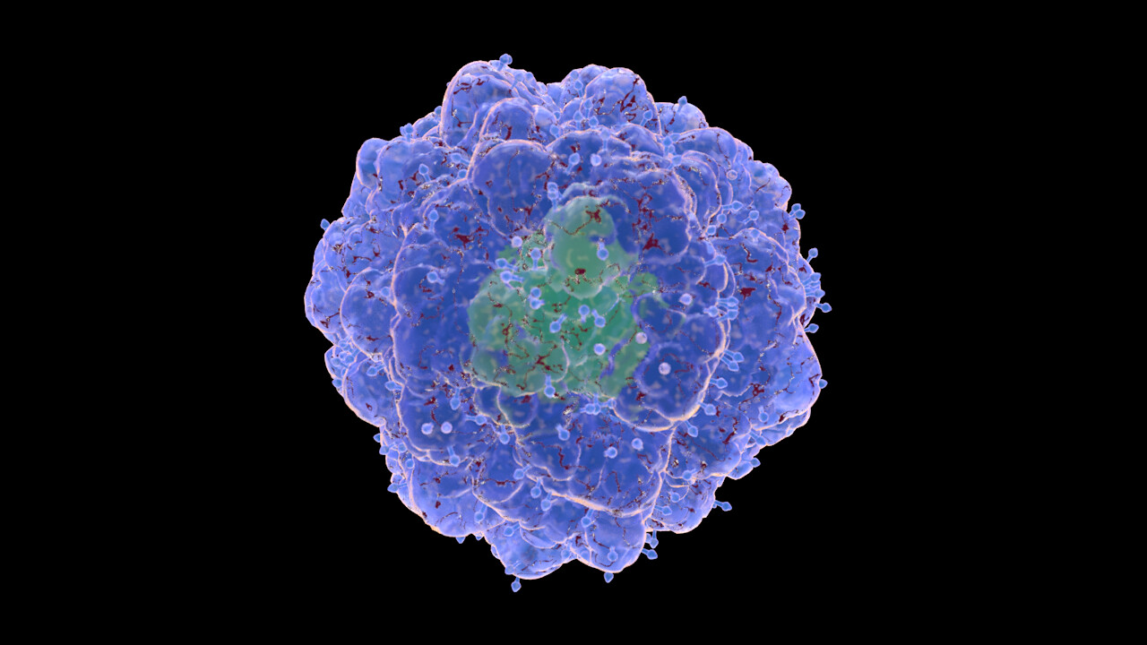 Jay Sanchez - Assorted Medical Imaging - cells