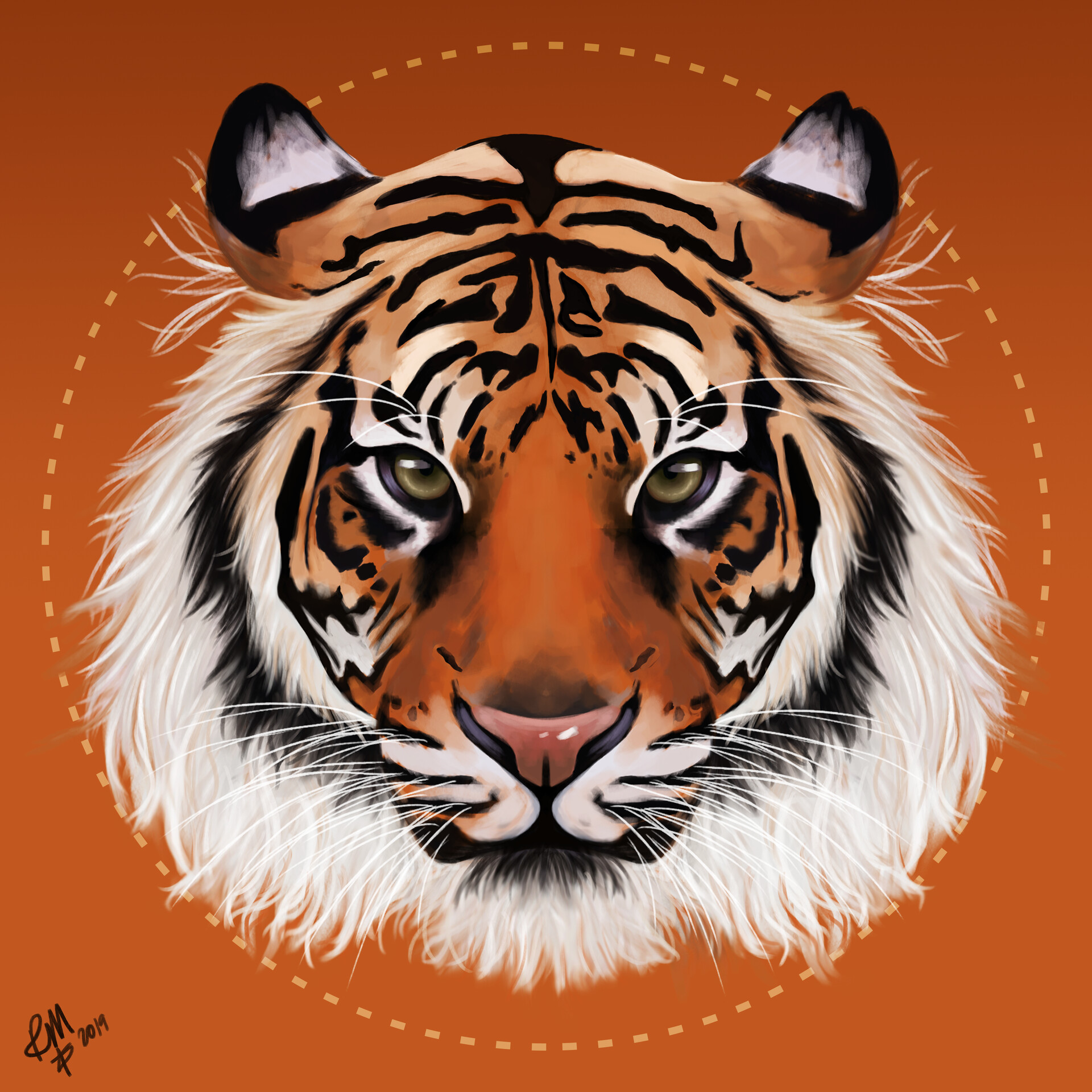 ArtStation - Tiger Study