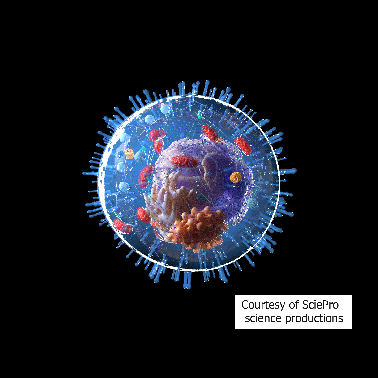 ArtStation - Human cell illustration