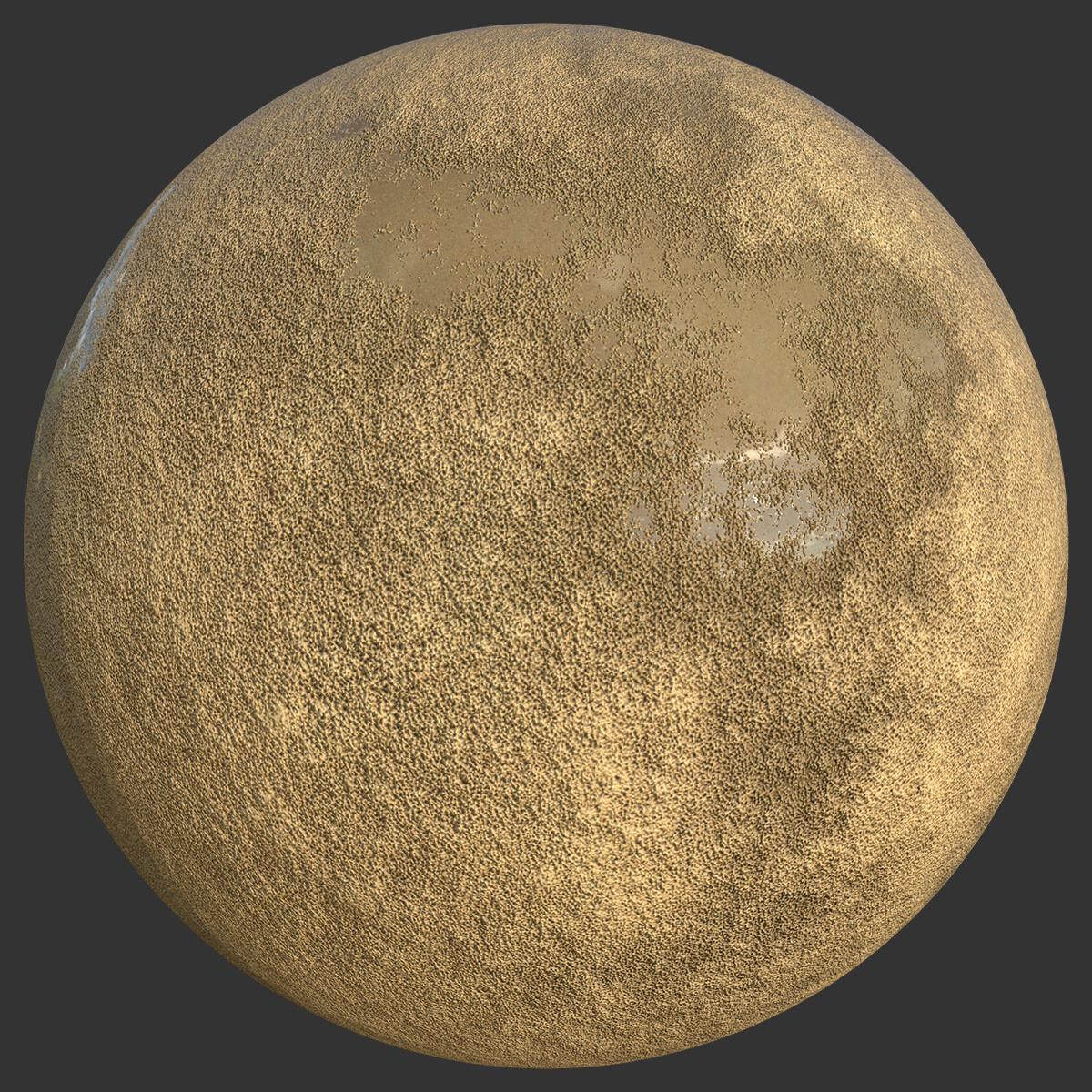 TextureCan - Sandy Seashore Ground Texture with Water Puddles