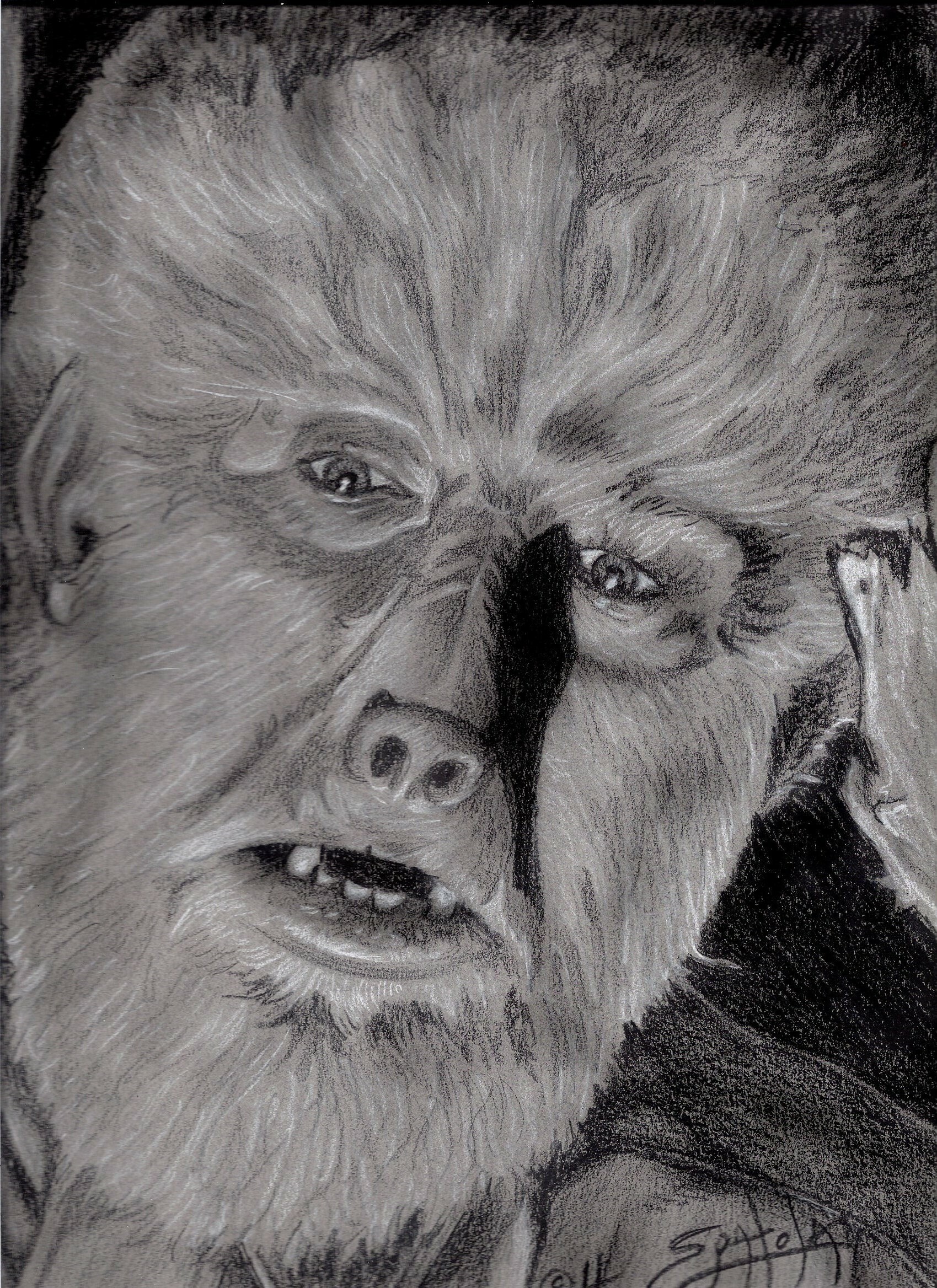 ArtStation - The Wolf Man