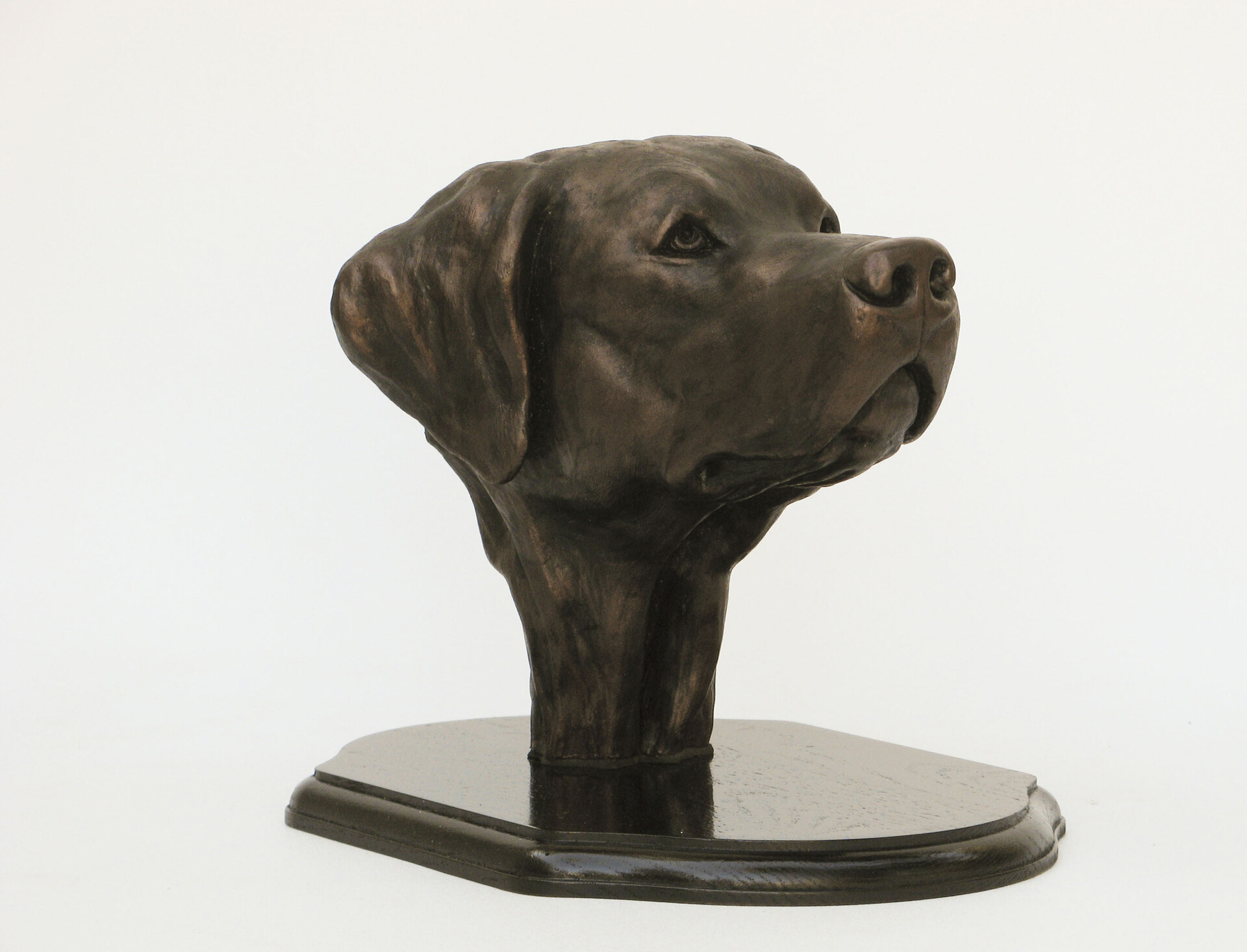 ArtStation - "Anticipation" - Koko Bear - Portrait