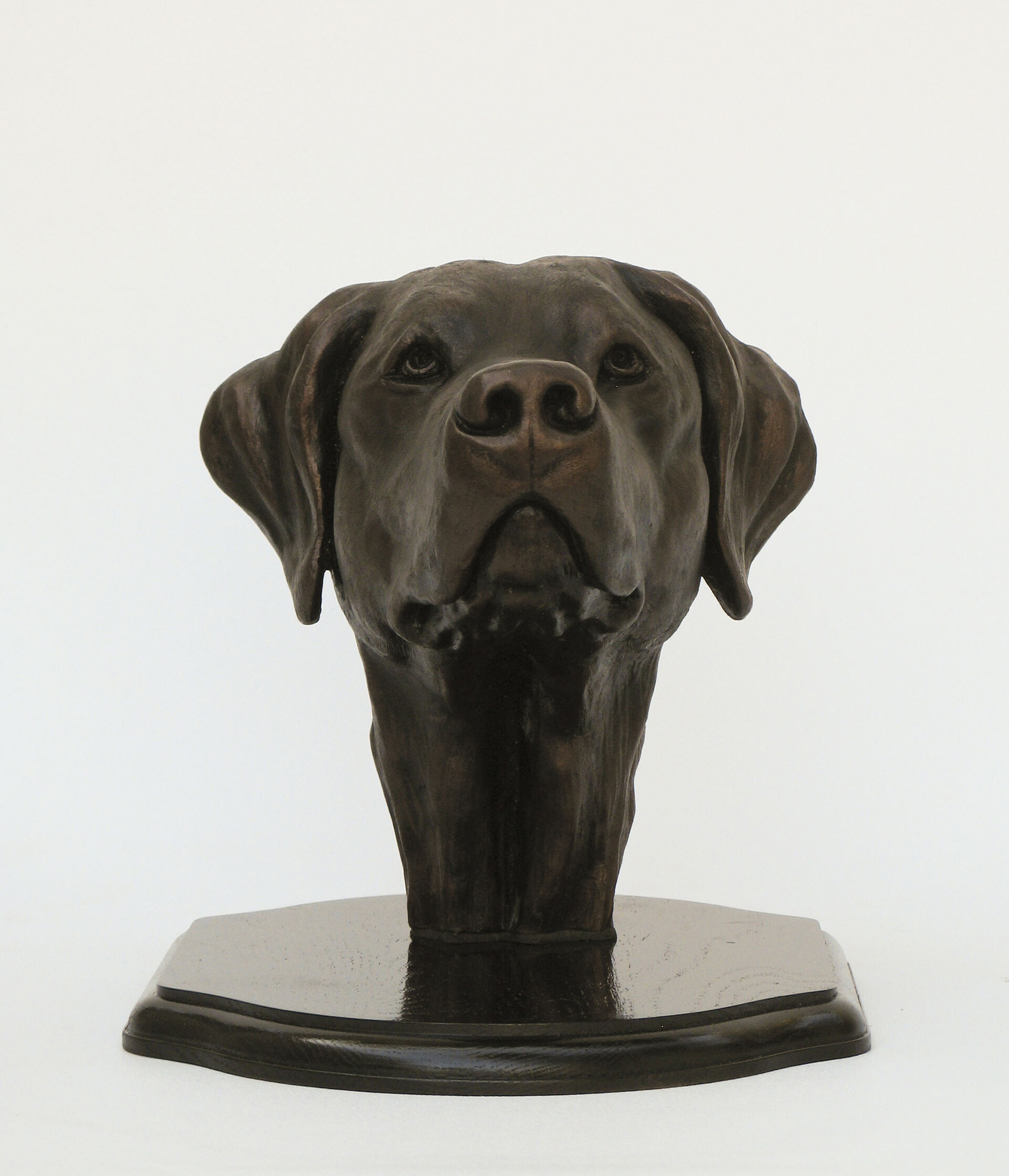 Amber Parker - "Anticipation" - Koko Bear - Portrait