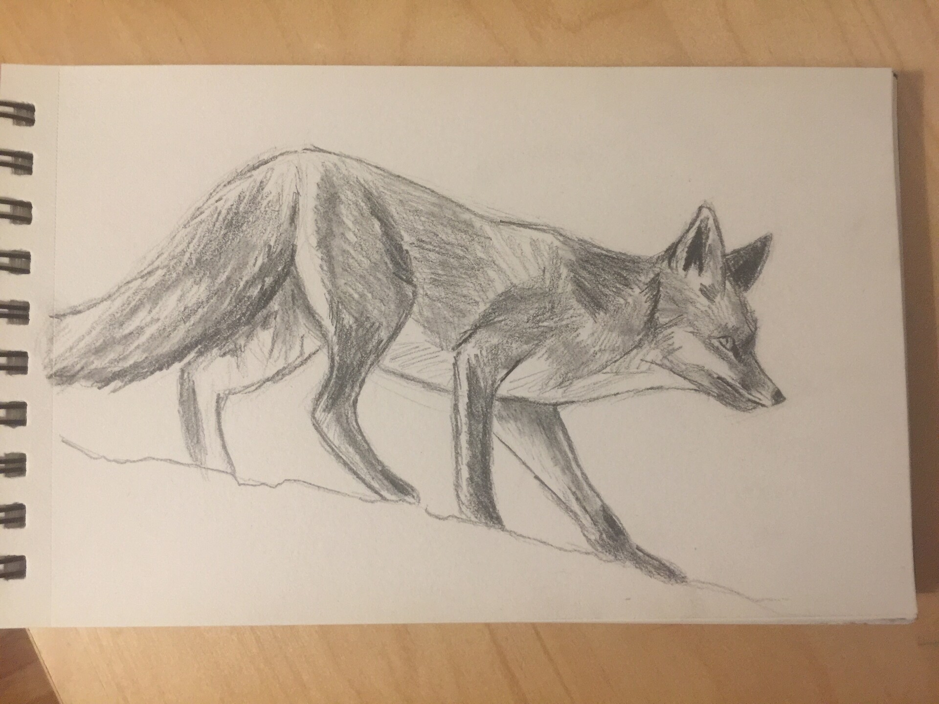 ArtStation - Fox and Tiger