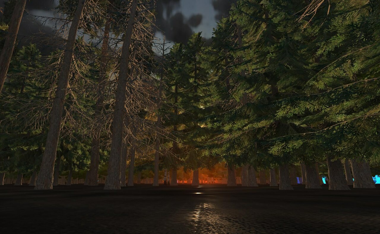 ArtStation - Night forest