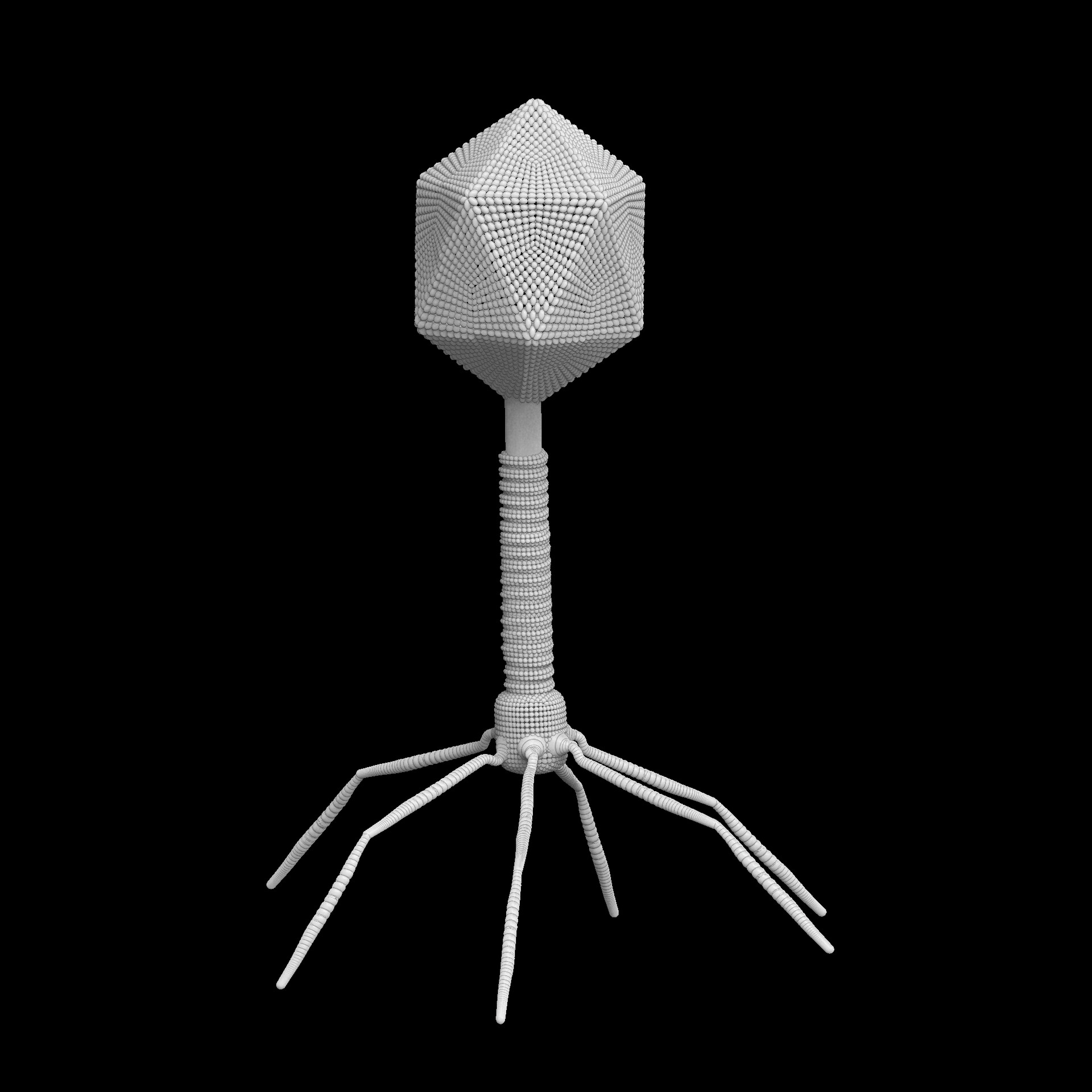 How To Build A Bacteriophage Model