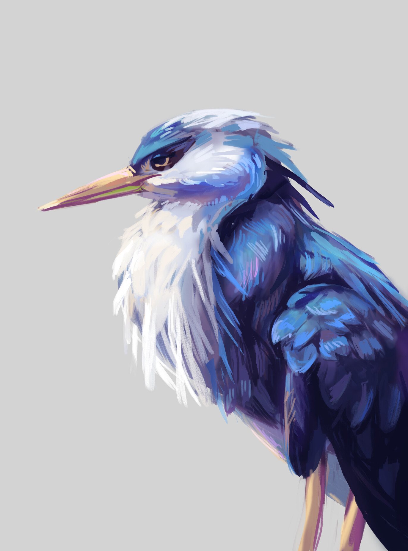ArtStation - Bird Study