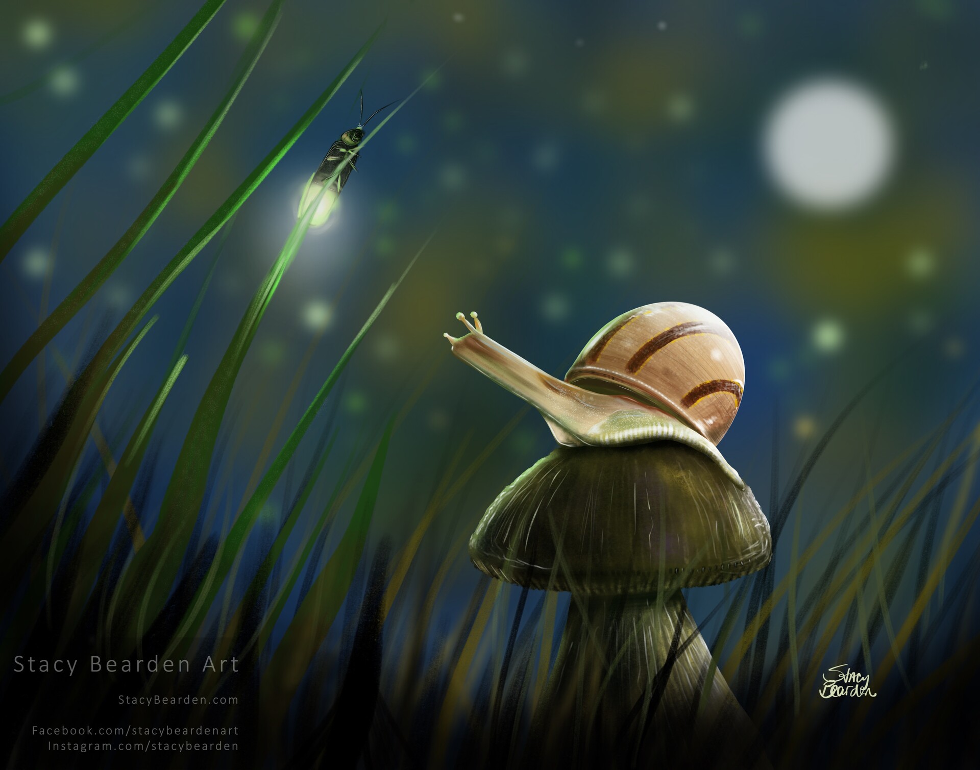 ArtStation - Snail Meets Firefly