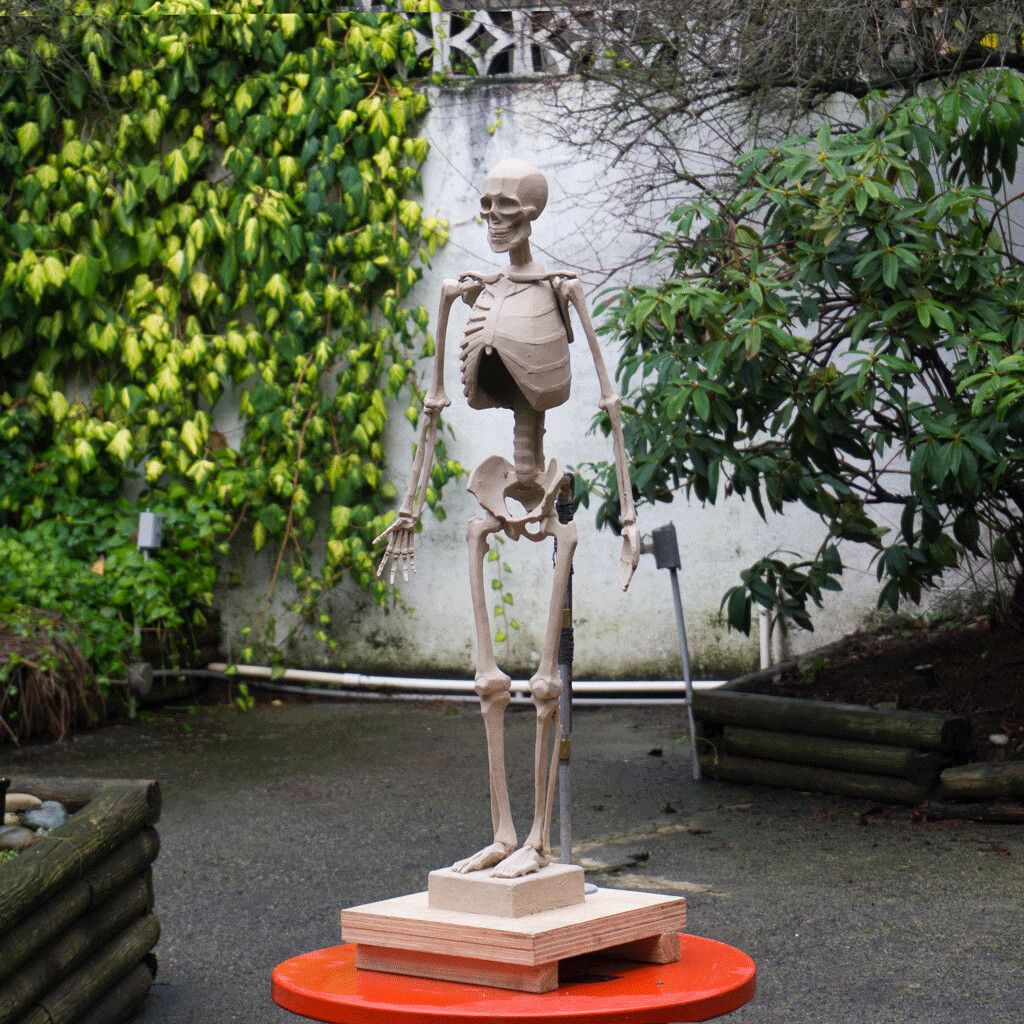 ArtStation - Half-life sized Skeleton