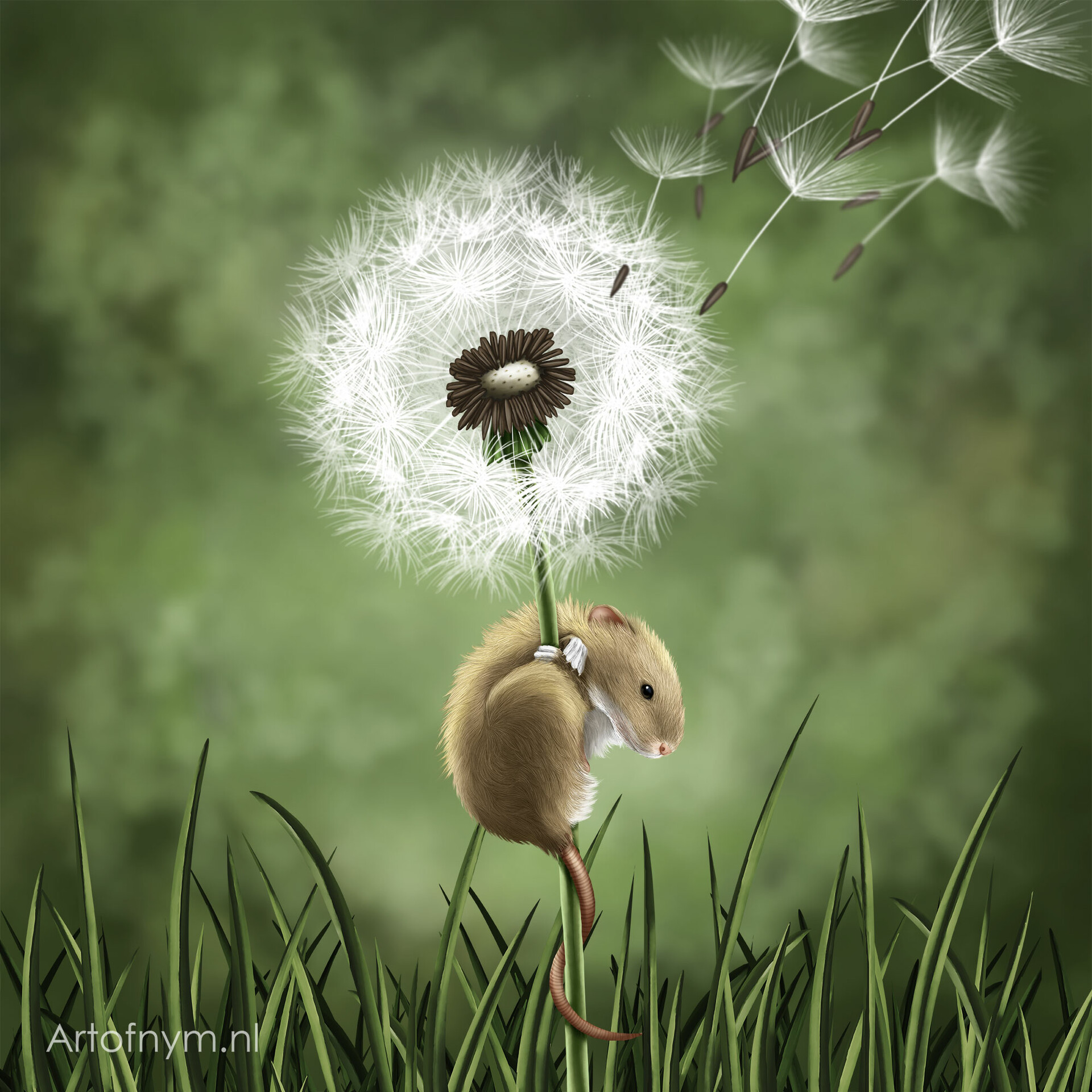 field mouse drawing