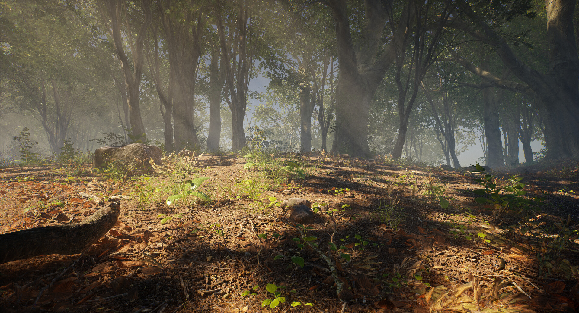 Robert Berg - Procedural Forest, UE4