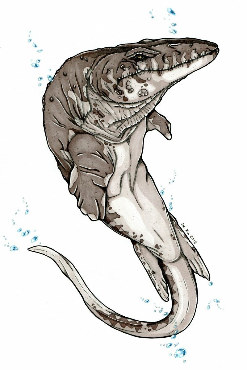 ArtStation - Mosasaur