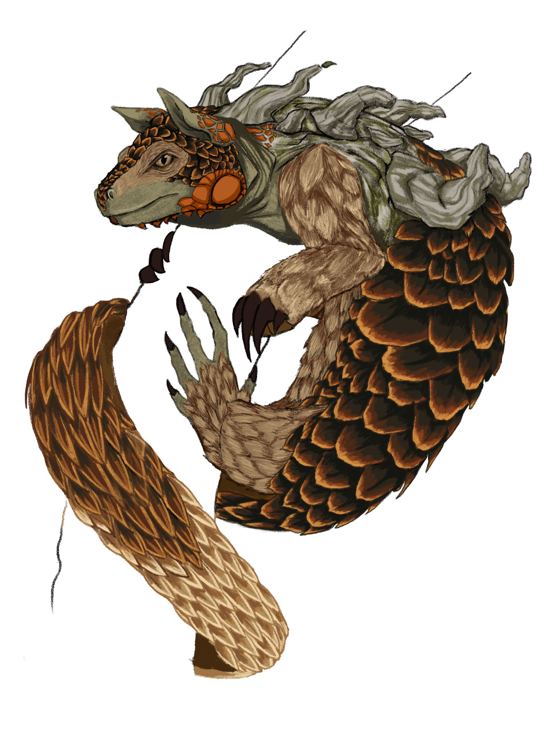 ArtStation - Animal Anatomy Assignment - Creature